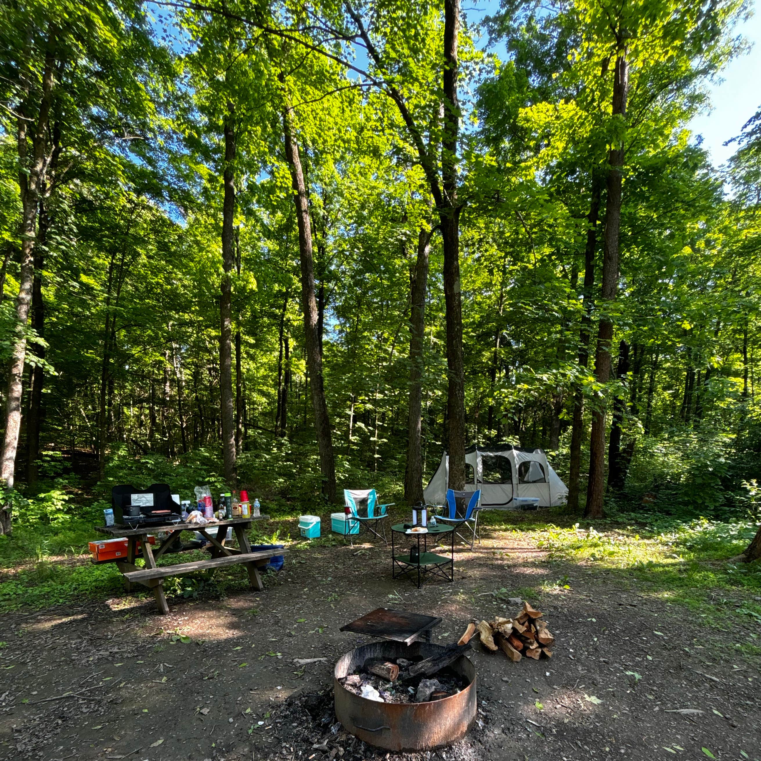 Clark State Forest Camping | Borden, Indiana
