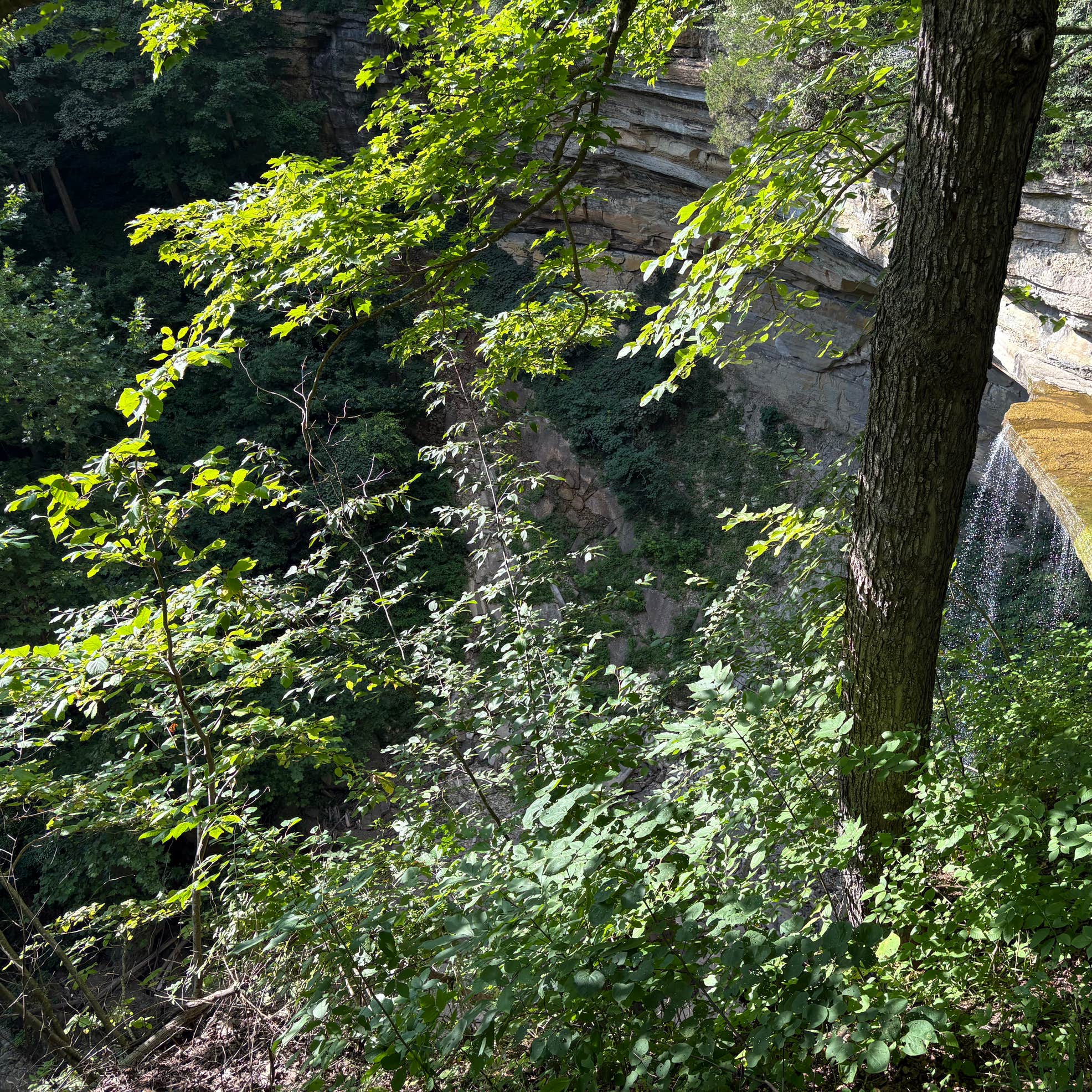 Clifty Falls State Park Campground | Madison, Indiana