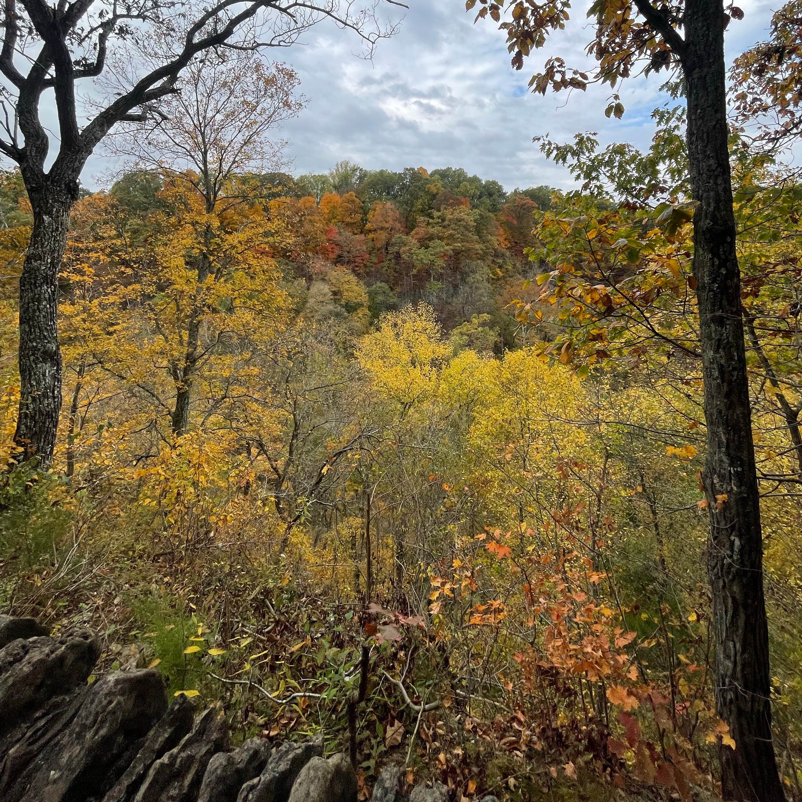 Clifty Falls State Park Campground | Madison, Indiana