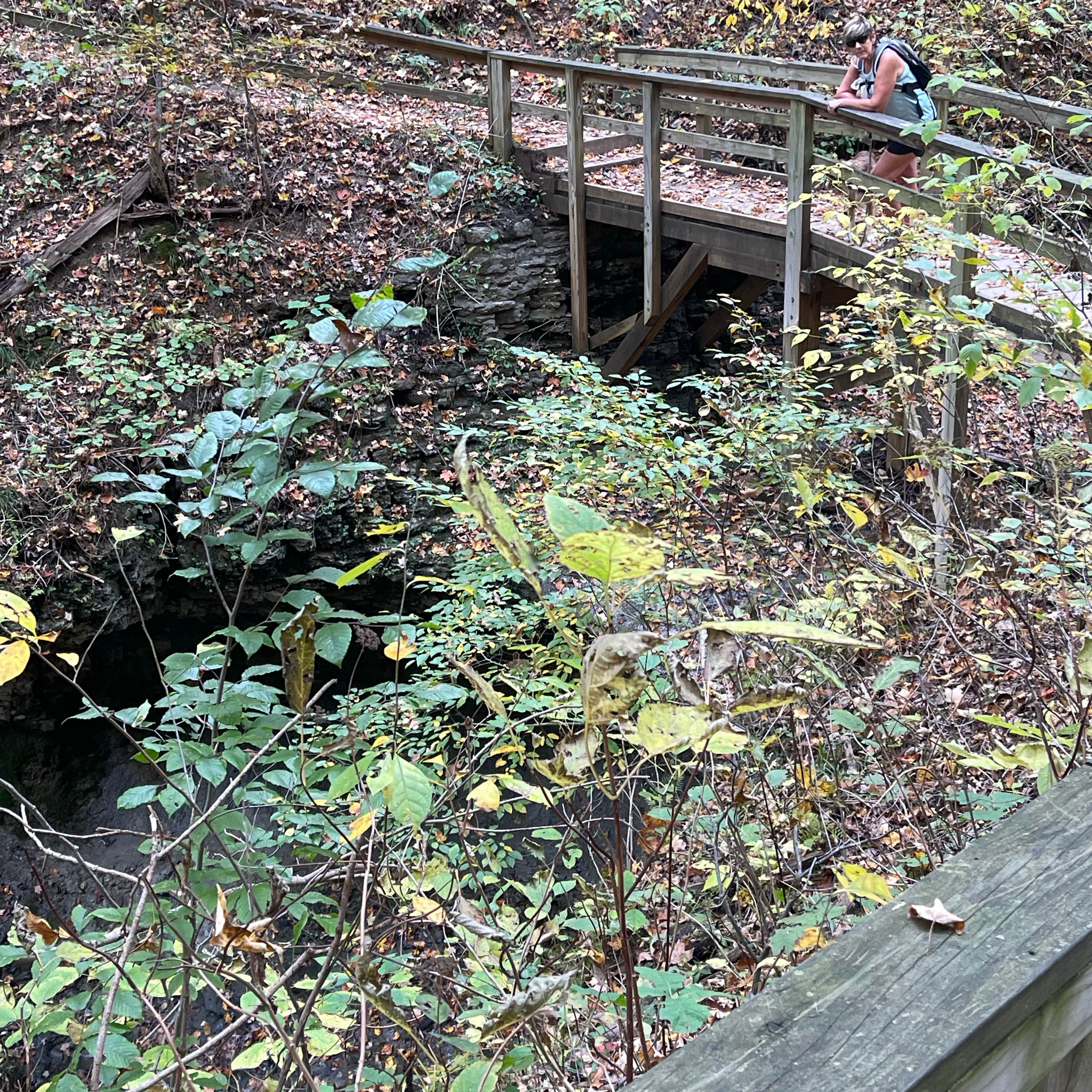 Clifty Falls State Park Campground | Madison, Indiana