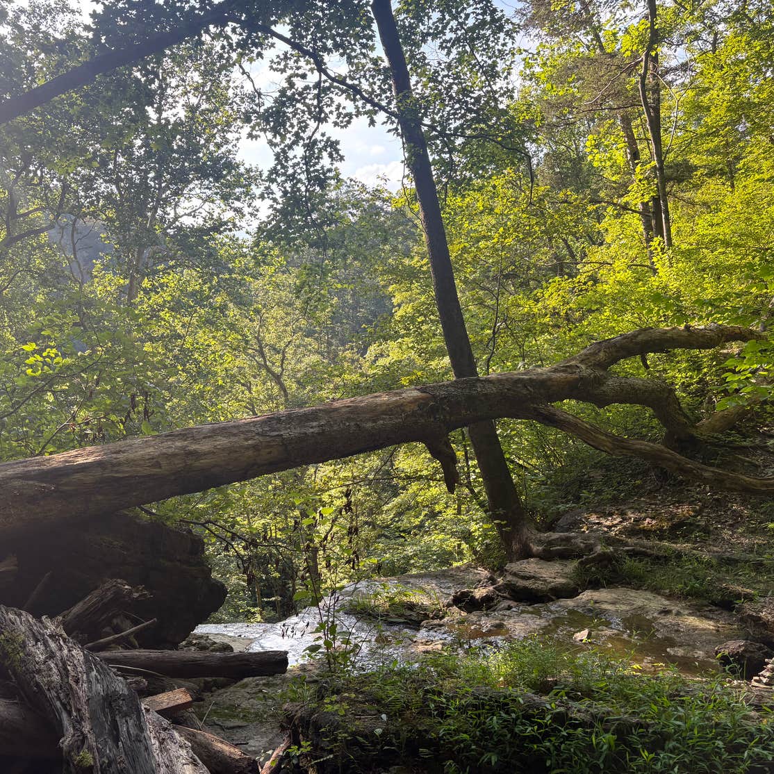 Clifty Falls State Park Campground | Madison, Indiana