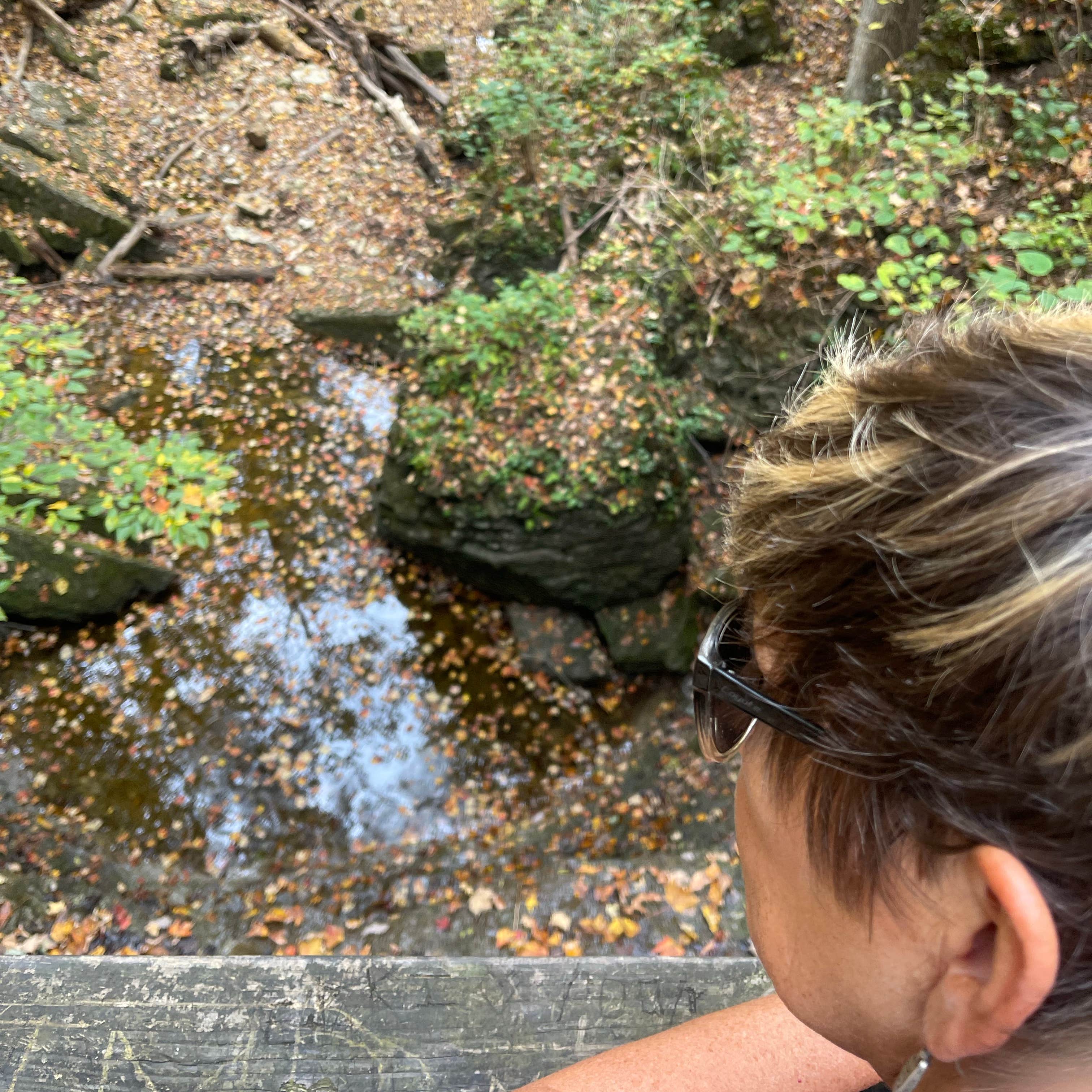 Clifty Falls State Park Campground | Madison, Indiana