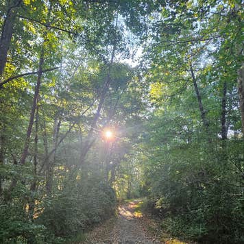 Lynnville Park Camping | Lynnville, Indiana