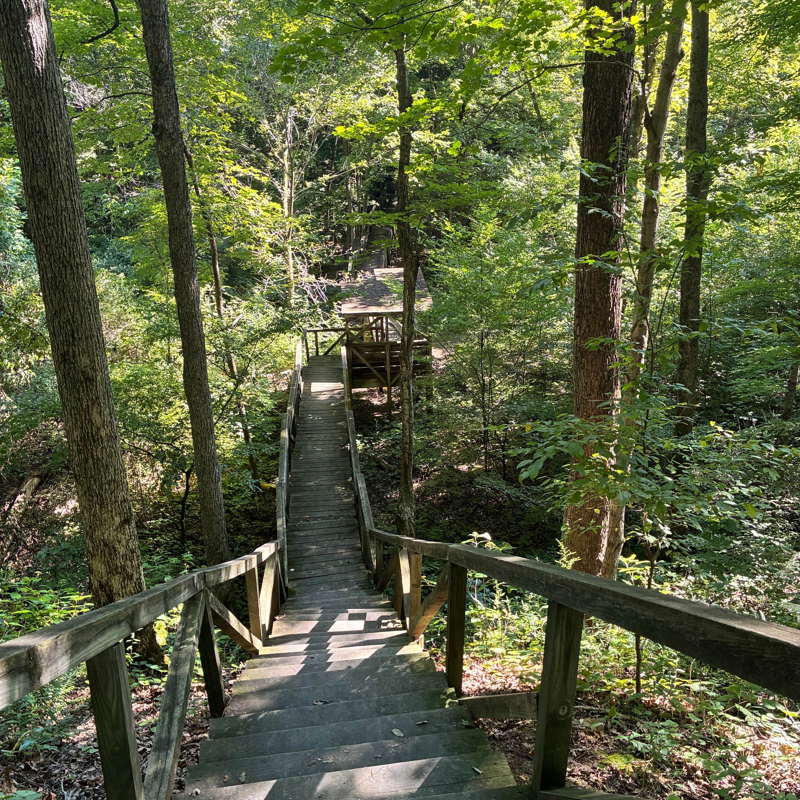 Shakamak State Park Campground | Jasonville, Indiana