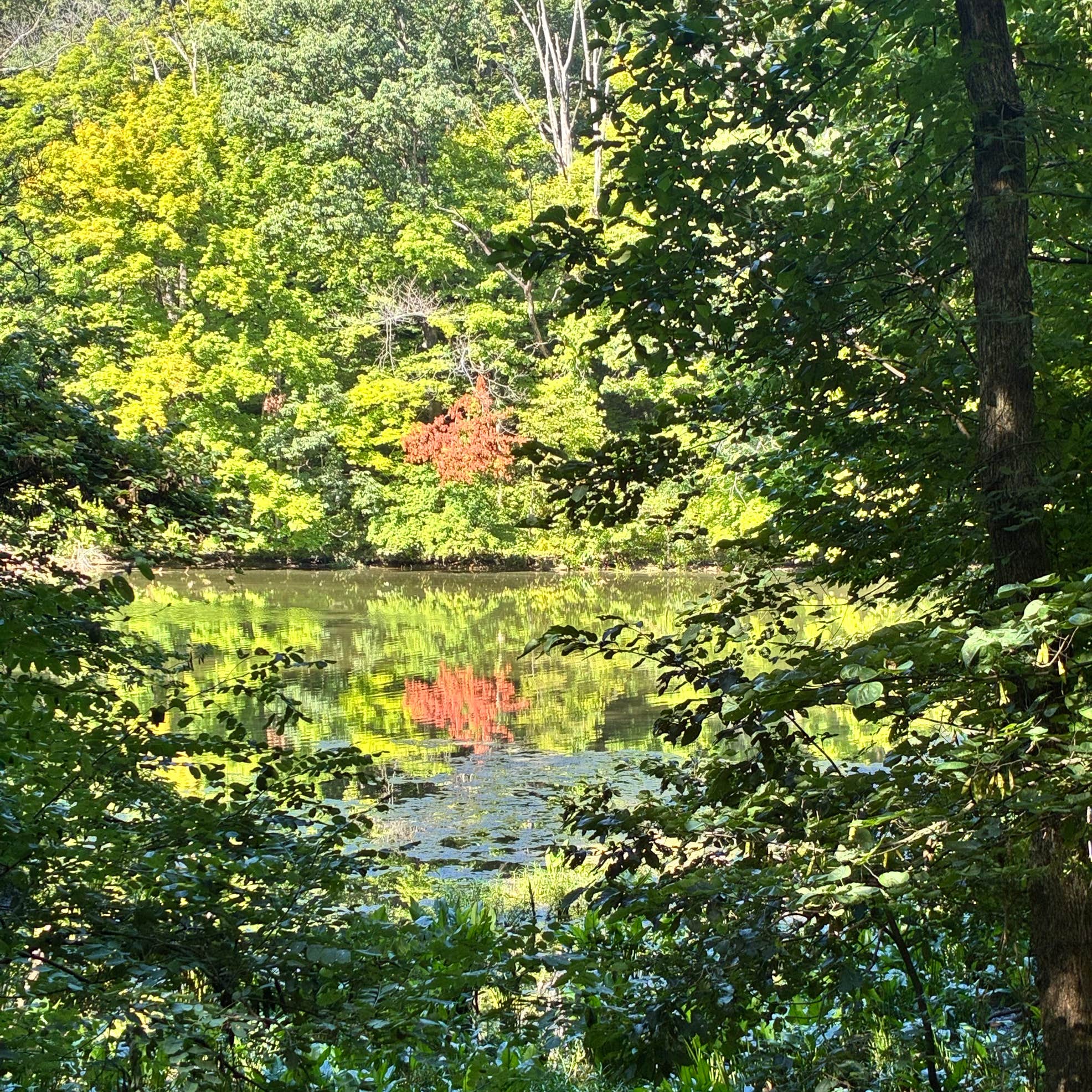 Shakamak State Park Campground | Jasonville, Indiana