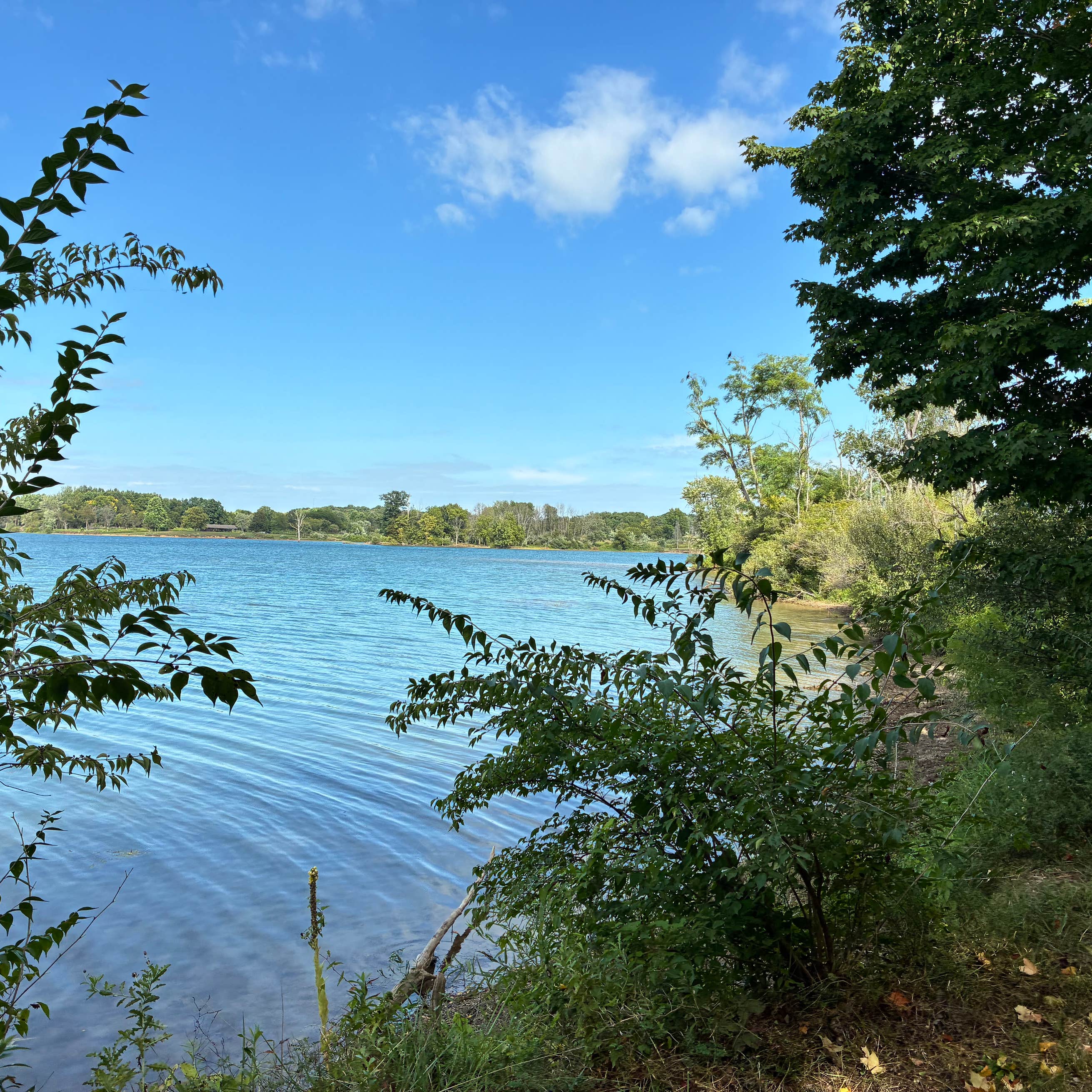 Summit Lake State Park Campground | Mooreland, Indiana