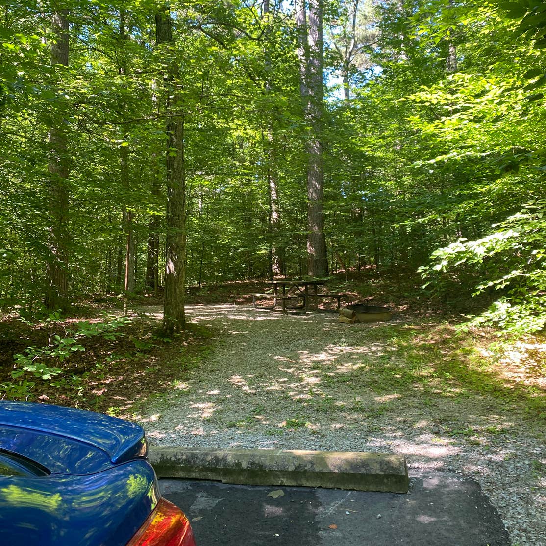 Tipsaw Lake Camping | Leopold, Indiana