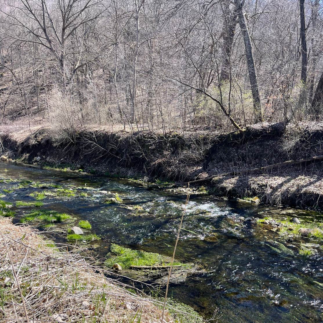Bloody Run County Park Camping | McGregor, IA