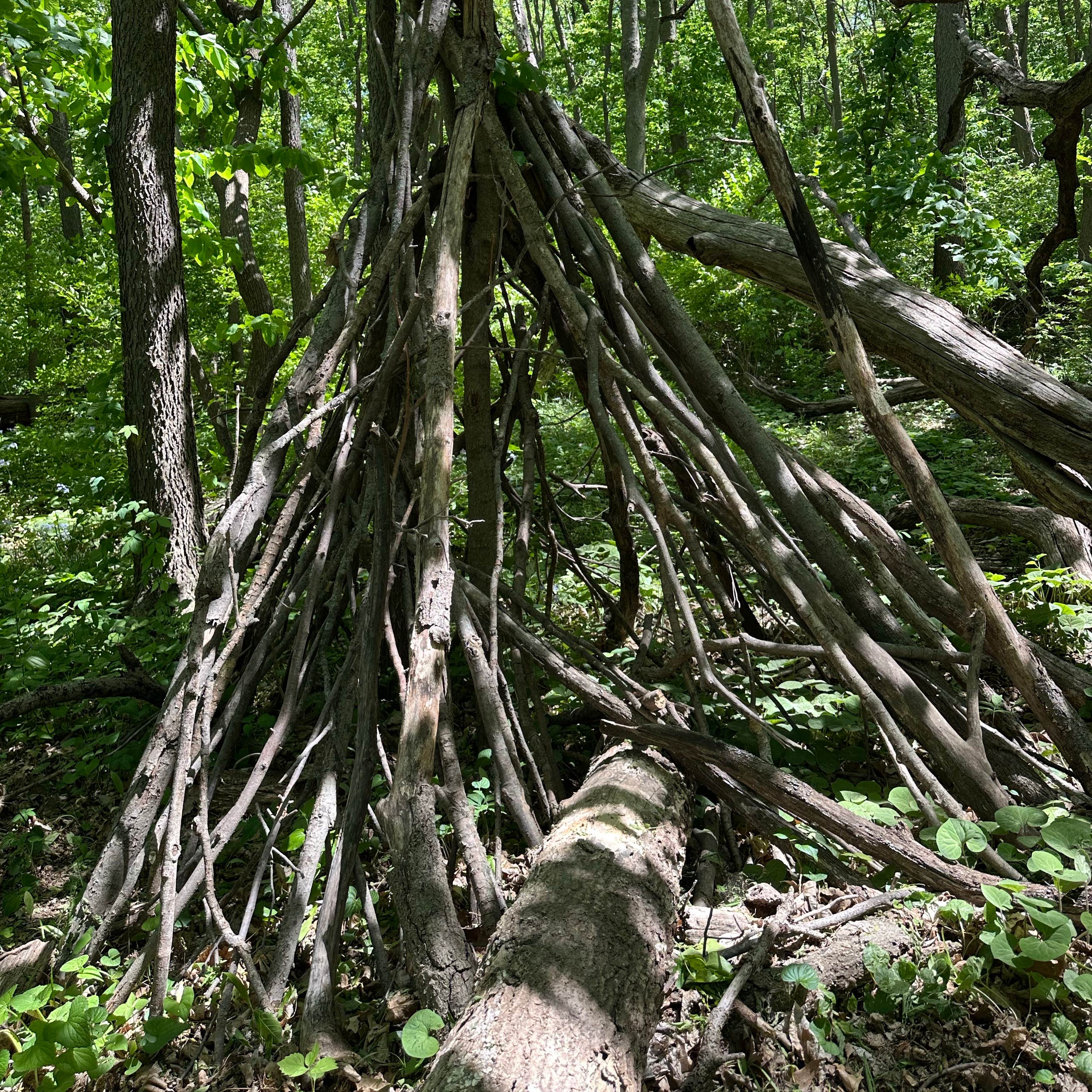 Jester County Park Camping | Granger, Iowa
