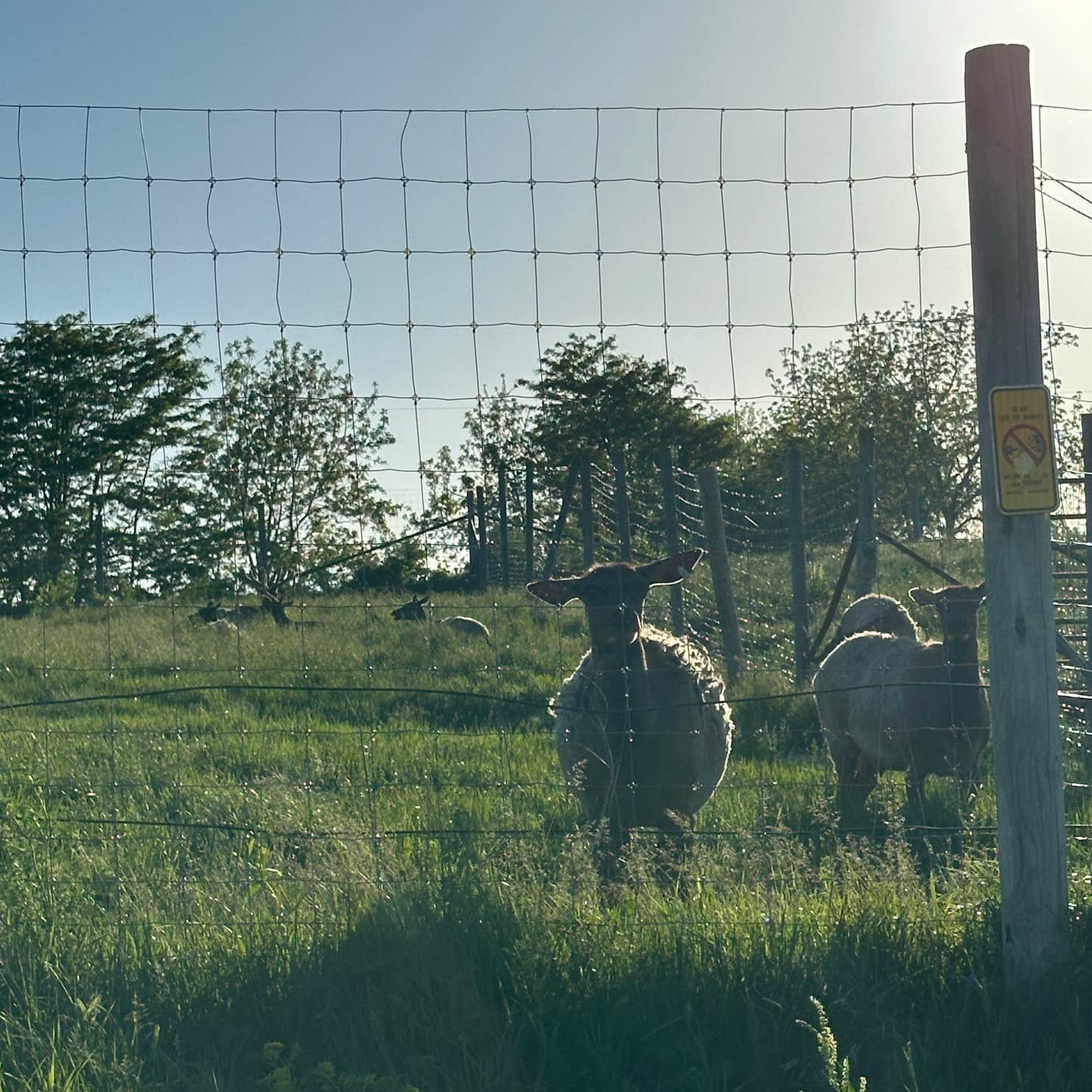 Jester County Park Camping | Granger, Iowa