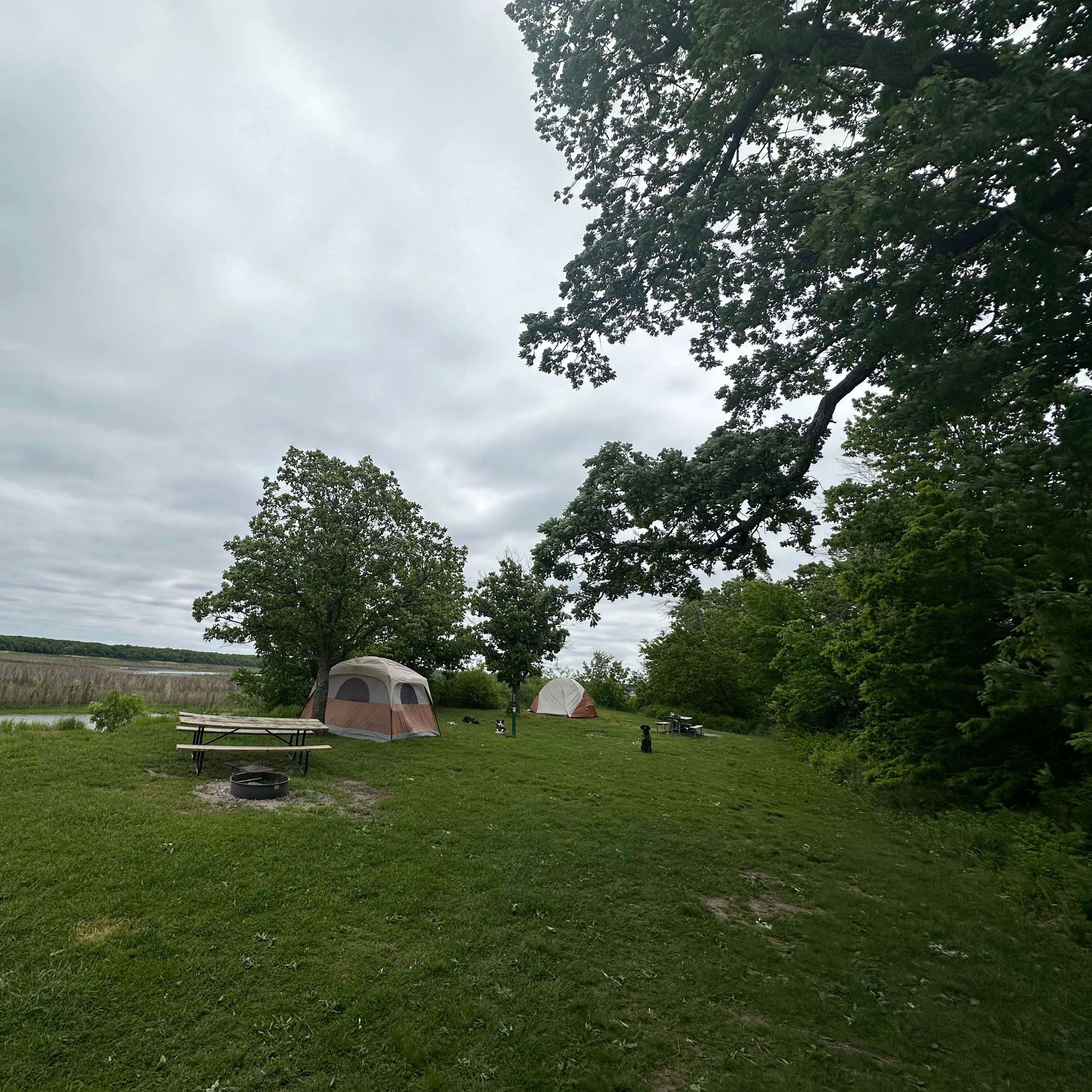 Jester County Park Camping | Granger, Iowa