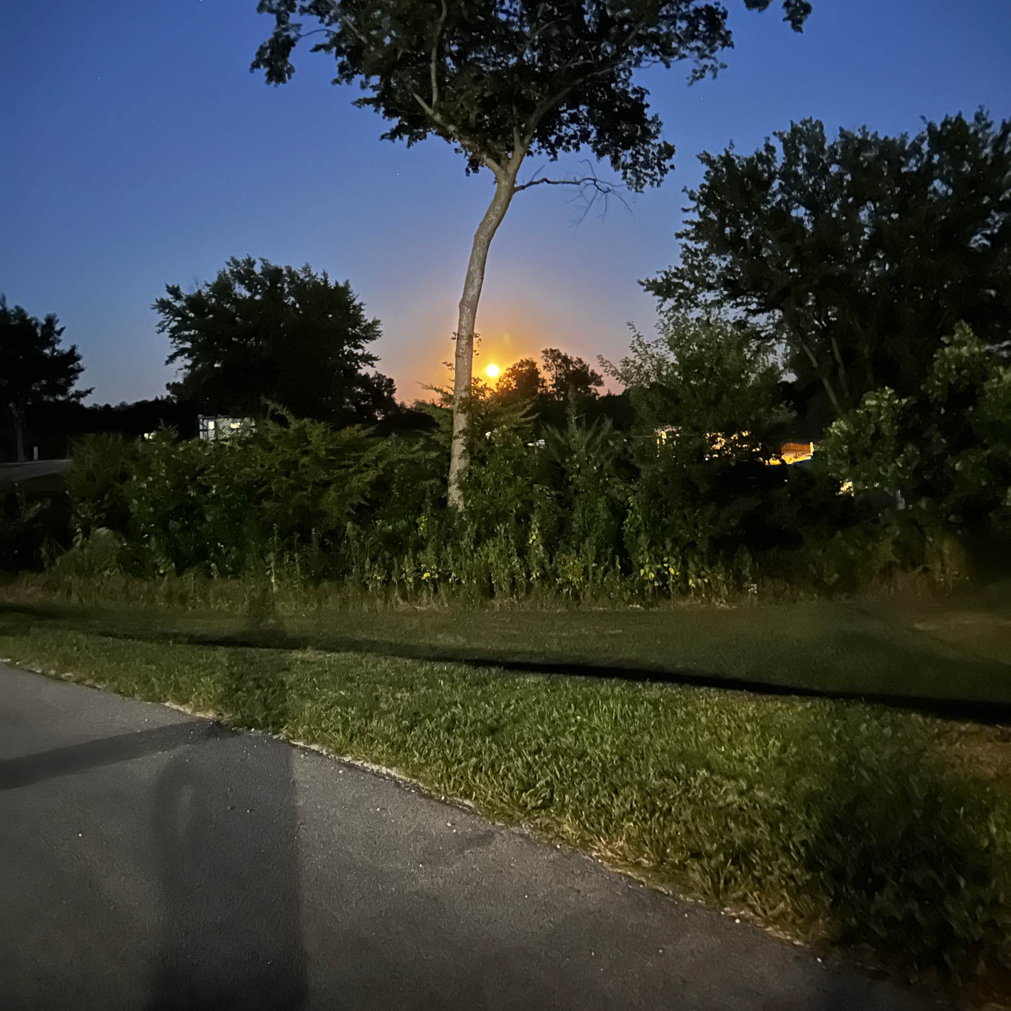 Lake Anita State Park Campground | Anita, Iowa