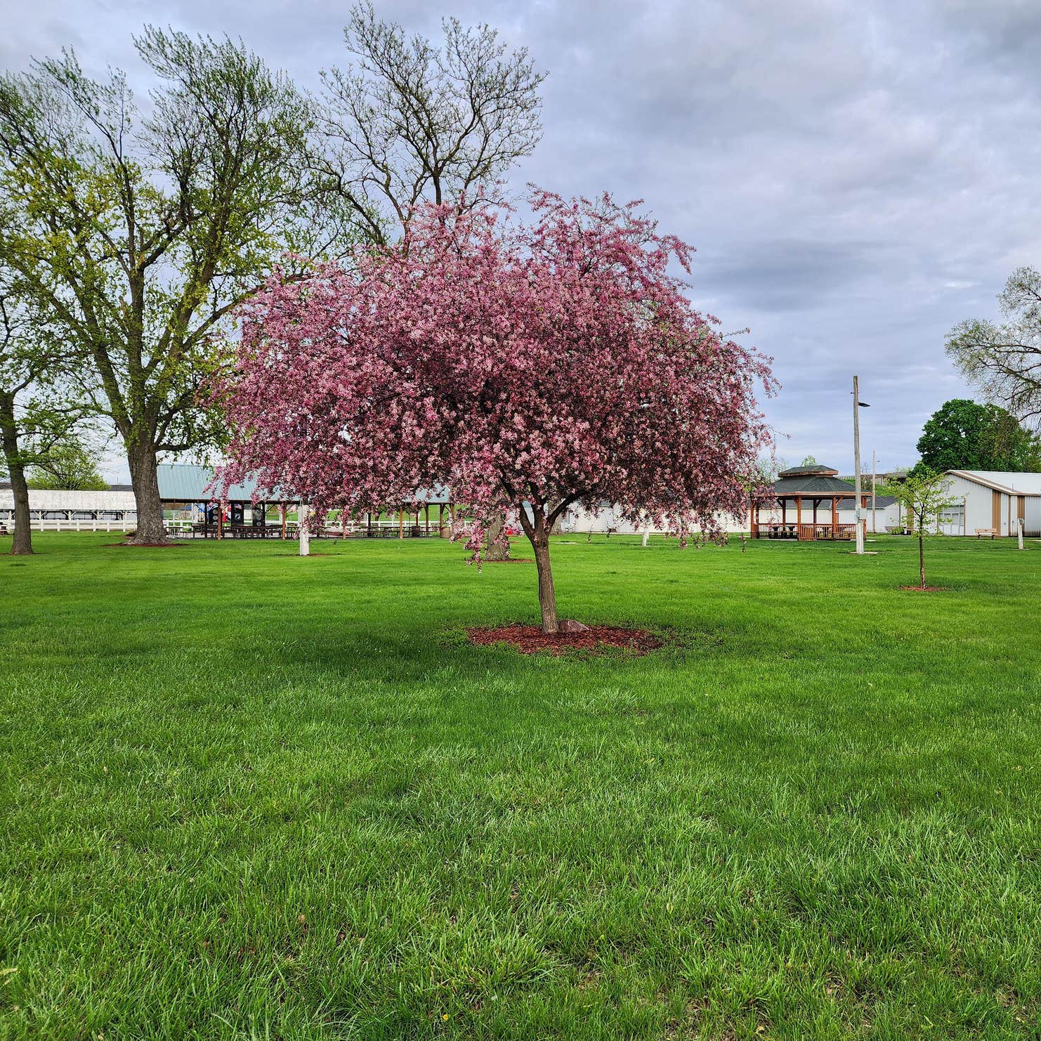 Missouri Valley City Park Camping | Missouri Valley, Iowa