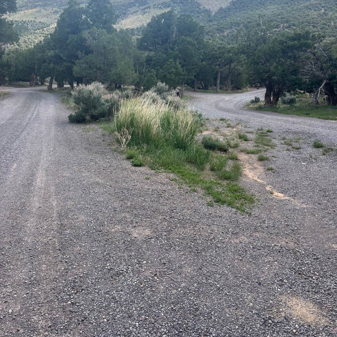 Irish Canyon Campground | Dinosaur National Monument, Colorado