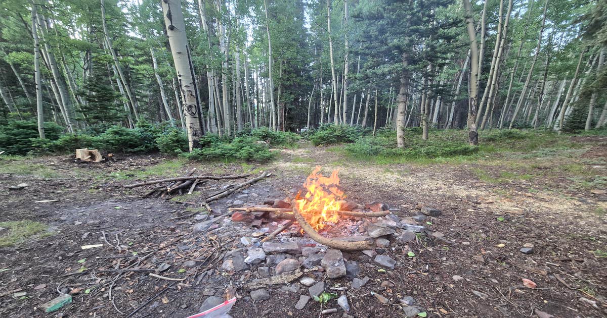 Ironton Dispersed San Juan NF Camping | Ouray, Colorado