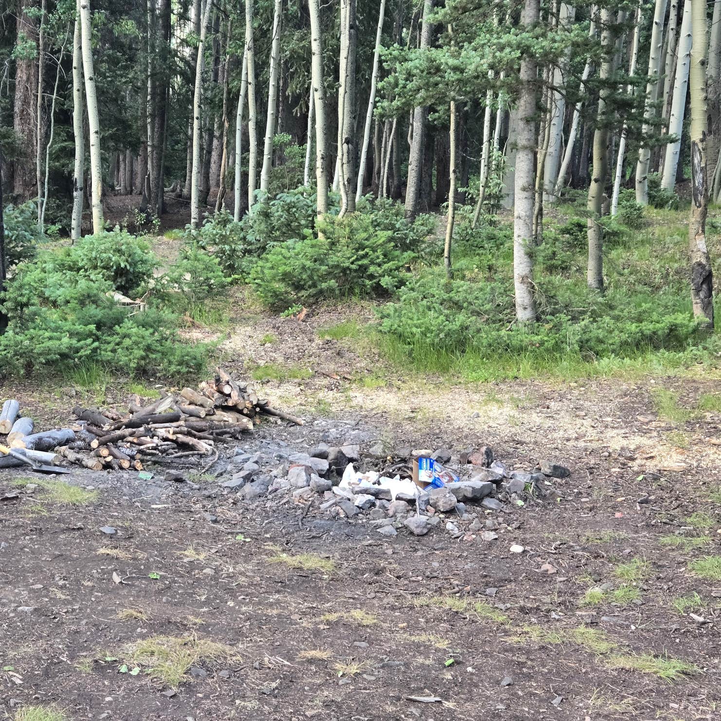 Ironton Dispersed San Juan NF Camping | Ouray, Colorado