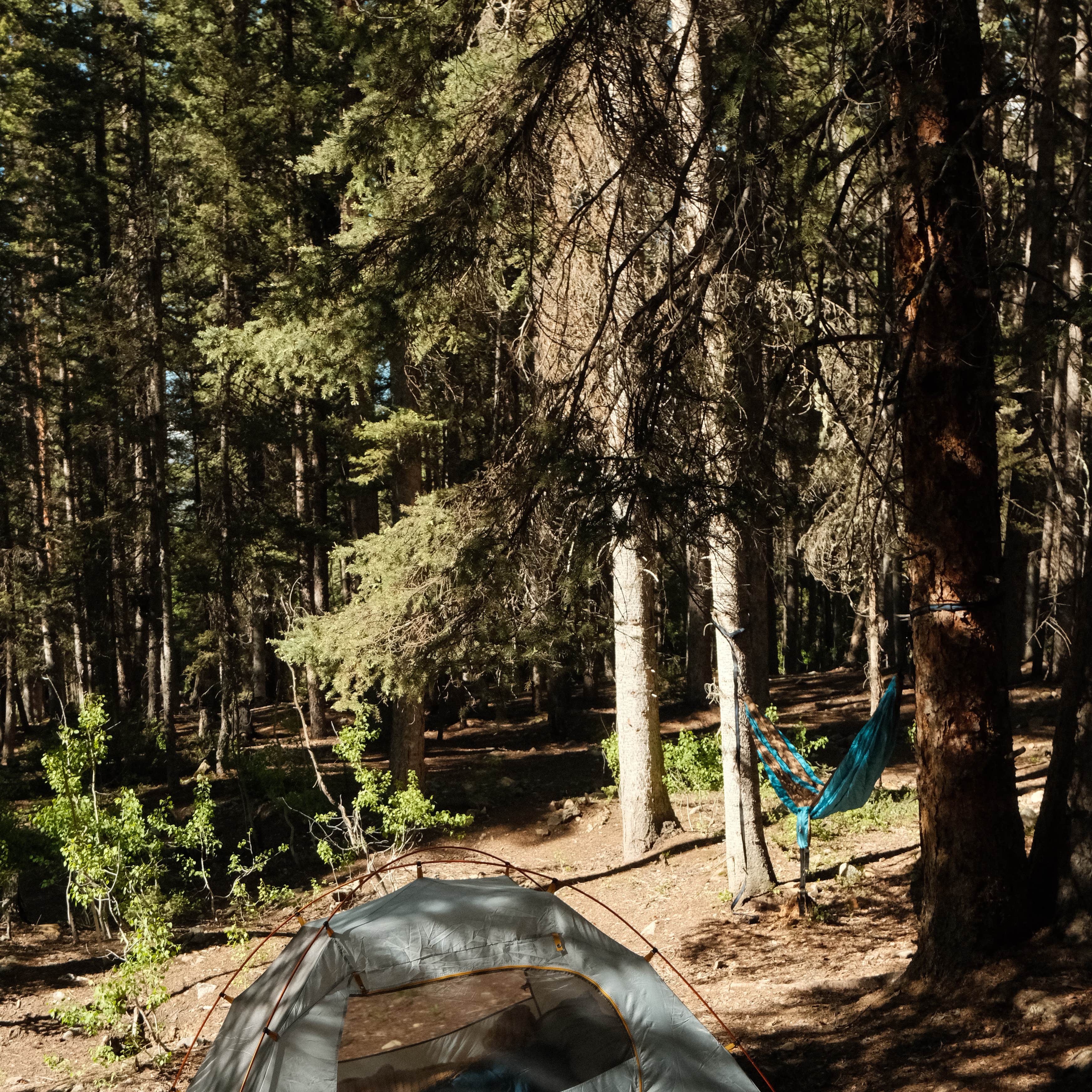 Ironton Park Dispersed Camping | Ouray, Colorado
