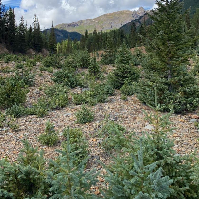 Ironton Park Dispersed Camping | Ouray, Colorado
