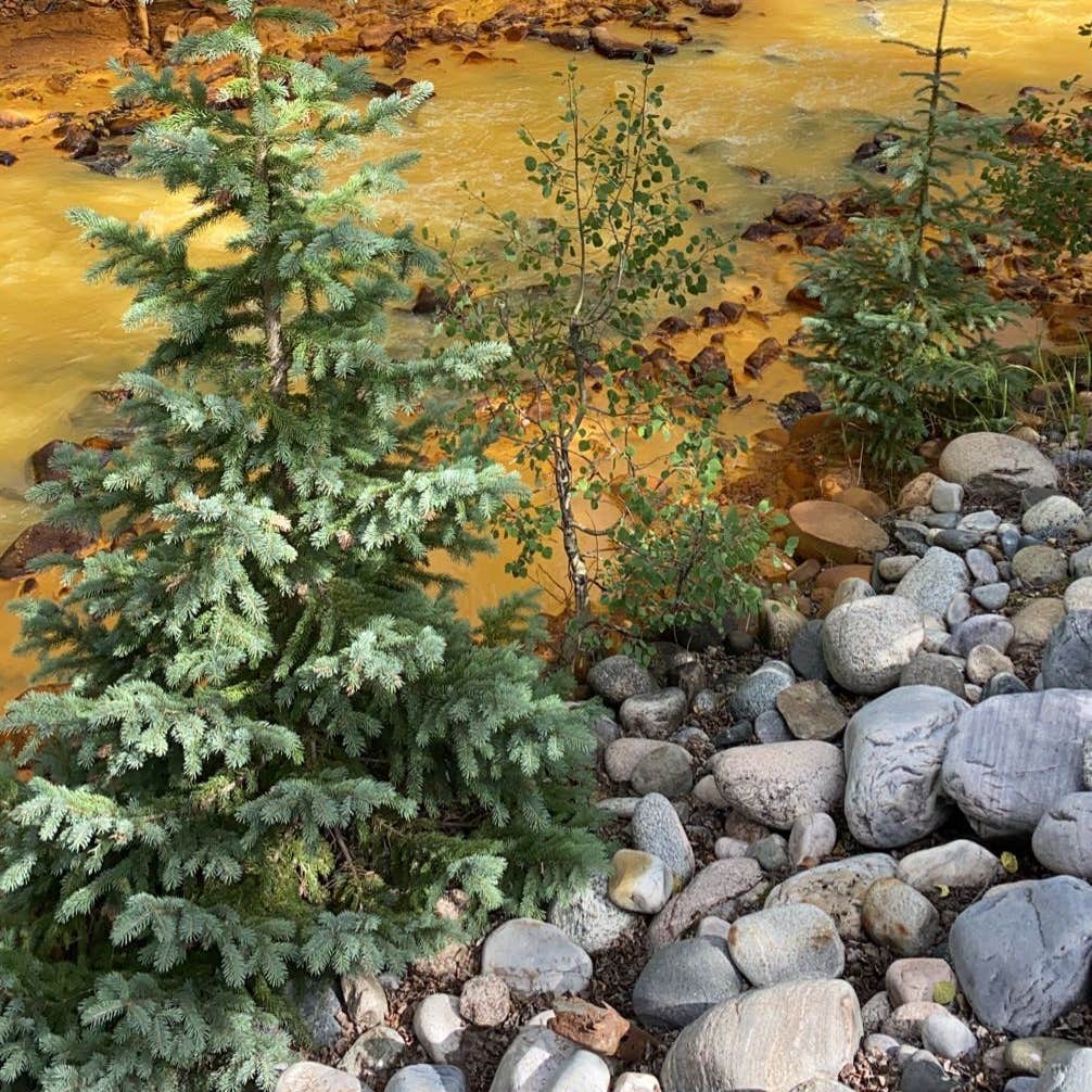 Ironton Park Dispersed Camping | Ouray, Colorado