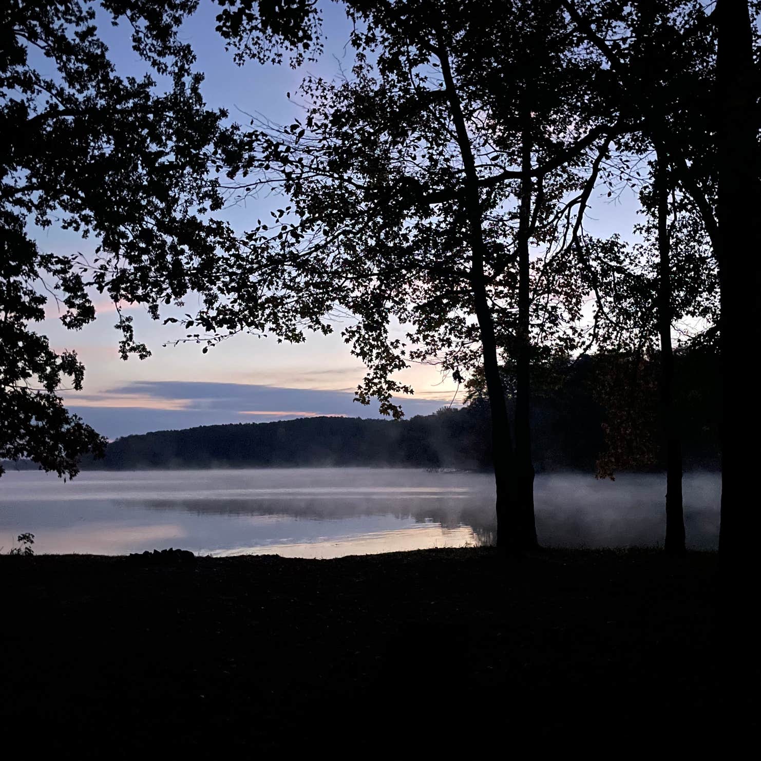 Jackson Island Dispersed Campground — Tennessee Valley Authority (TVA ...