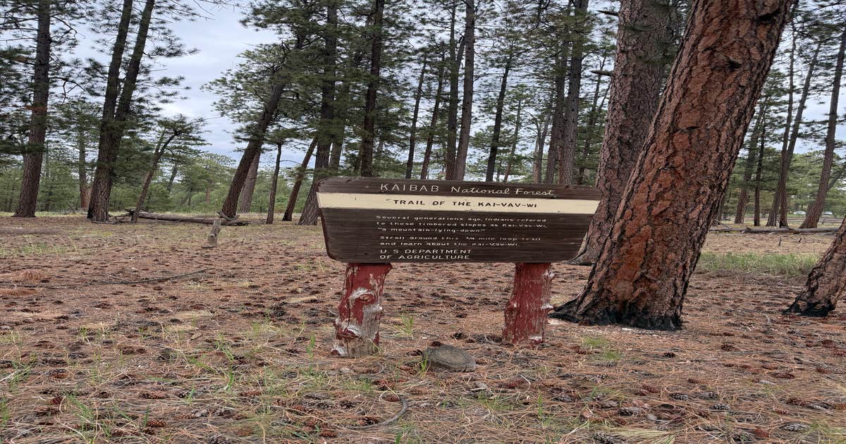 Jacob Lake Group Campground and Picnic Area | Jacob Lake, Arizona