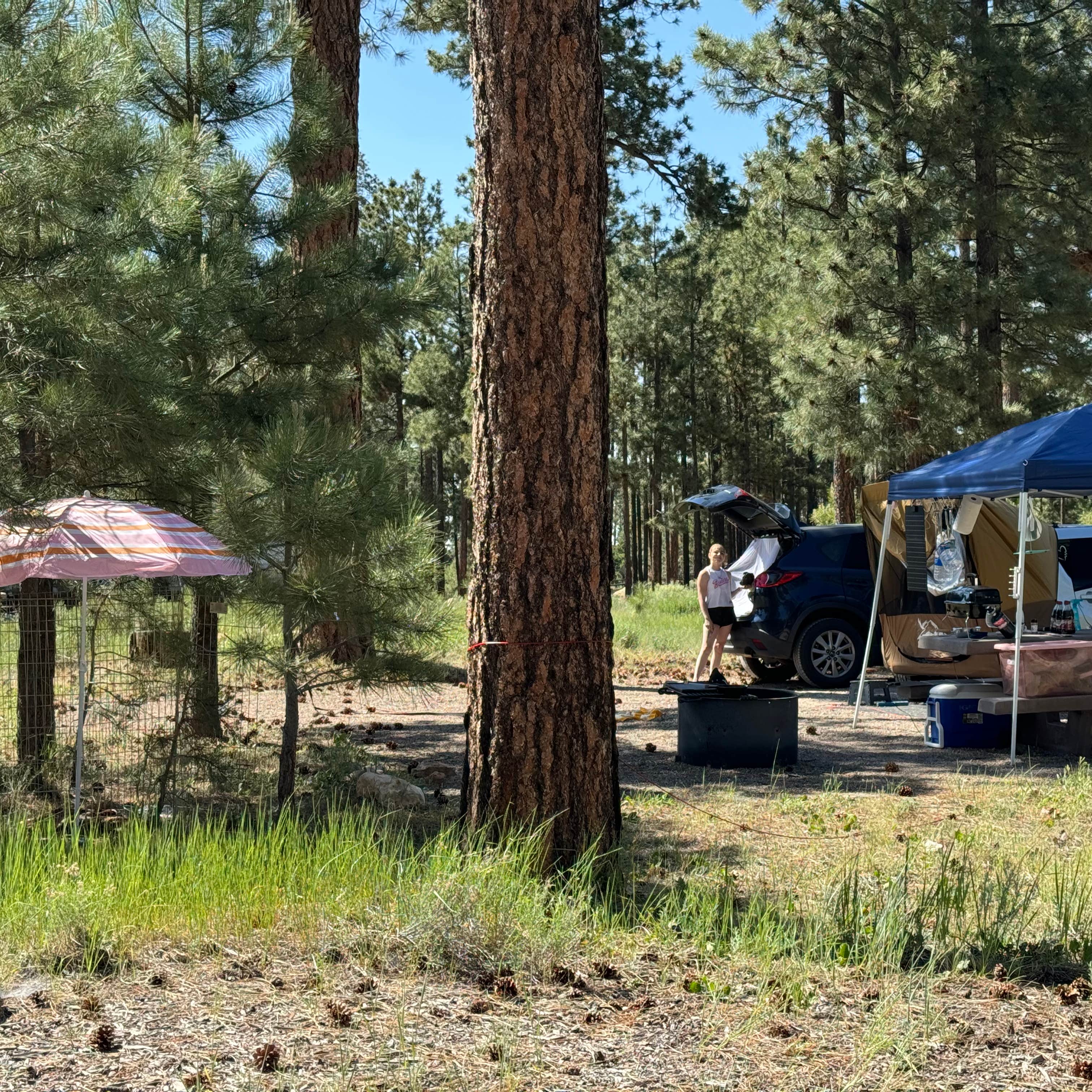 Jacob Lake Campground - Kaibab National Forest | Jacob Lake, Arizona