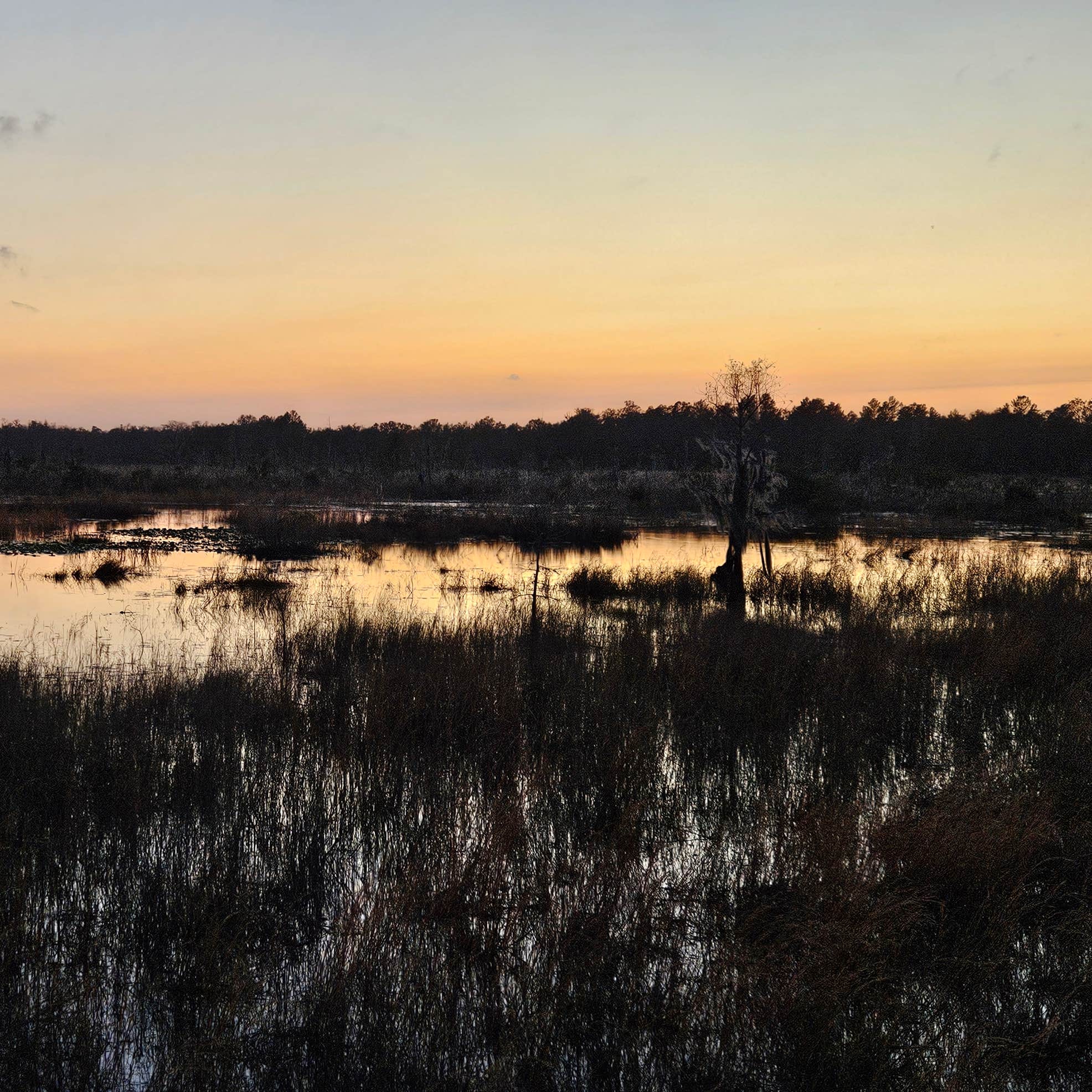 Jay B. Starkey Wilderness Park Camping | New Port Richey, Florida