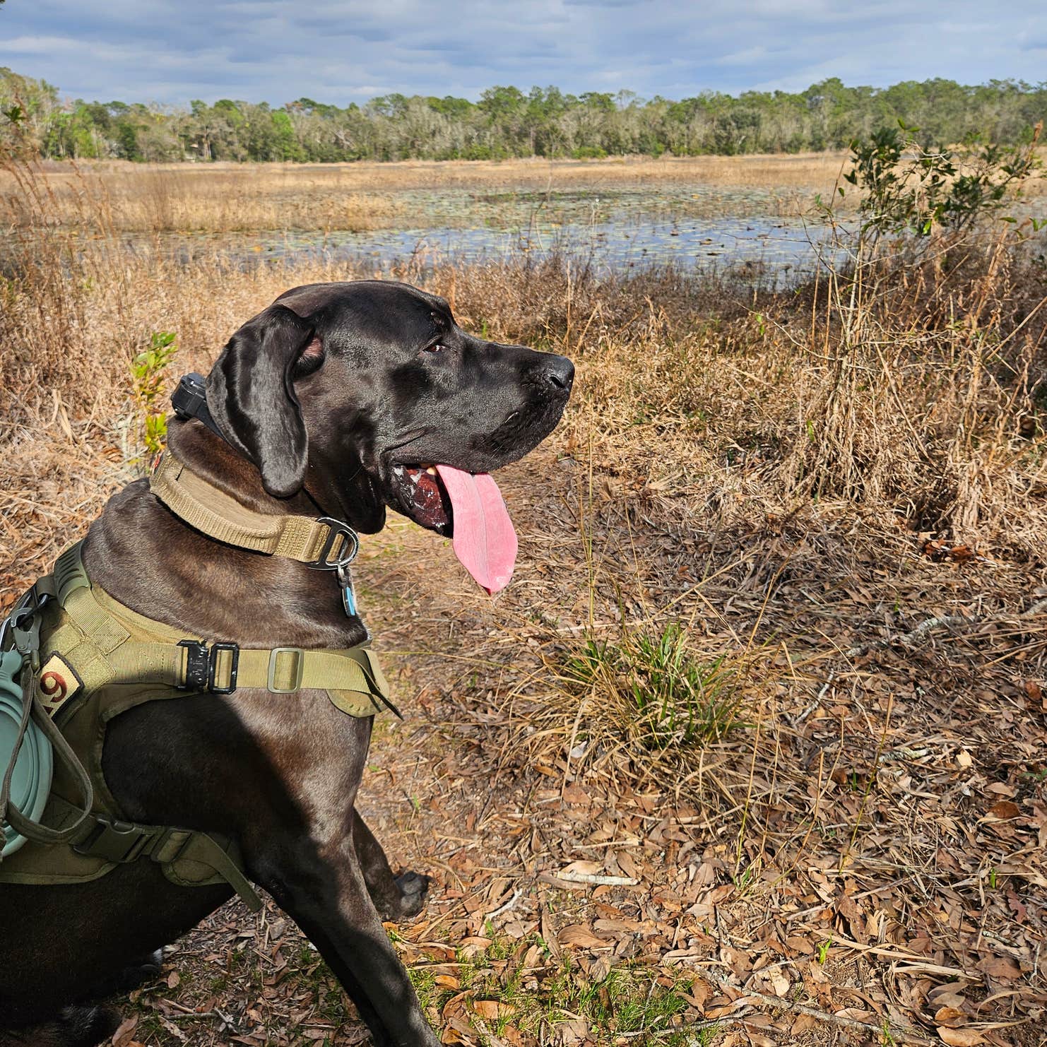 Jay B. Starkey Wilderness Park Camping | New Port Richey, Florida