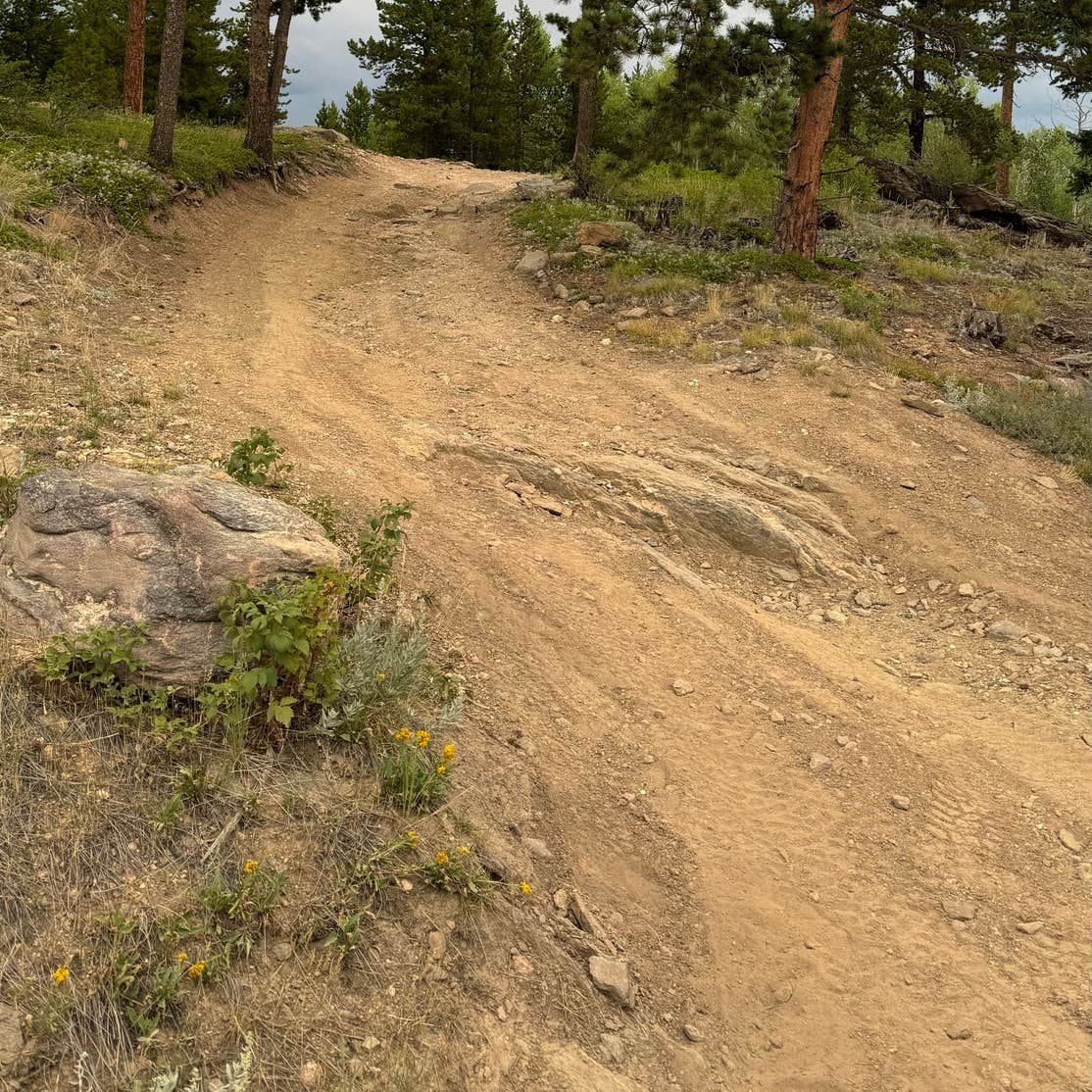 Johnny Park Road Camping | Allenspark, Colorado