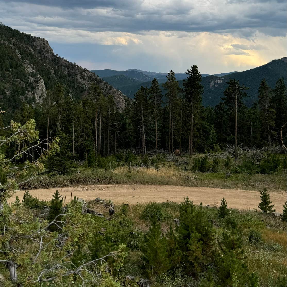 Johnny Park Road Camping | Allenspark, CO