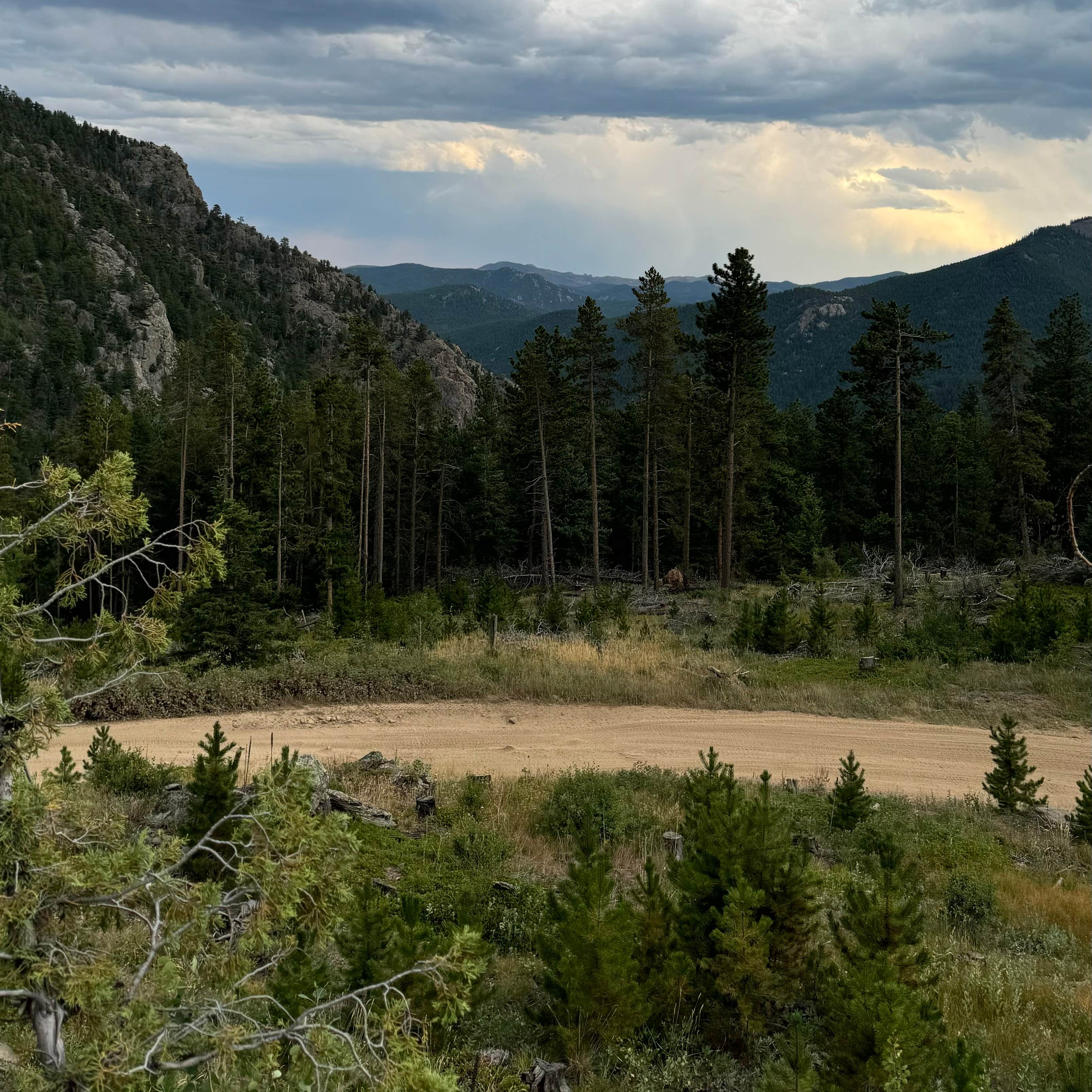 Johnny Park Road Camping | Allenspark, Colorado