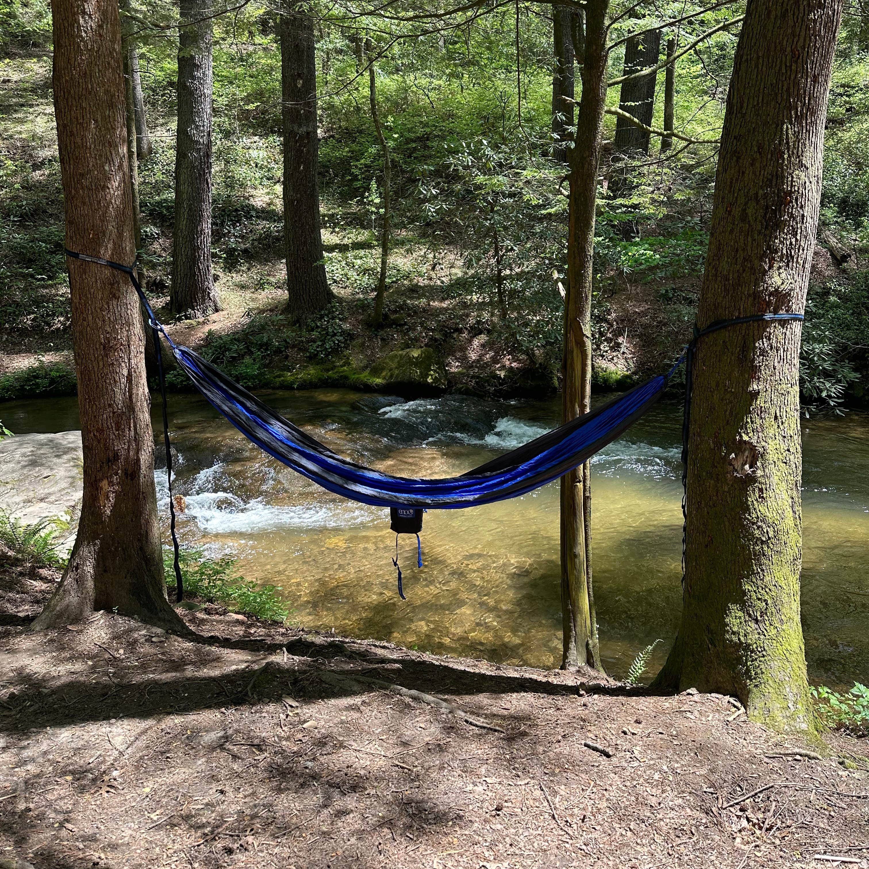 Jones Creek Dispersed Campground | Chattahoochee-Oconee National Forest ...