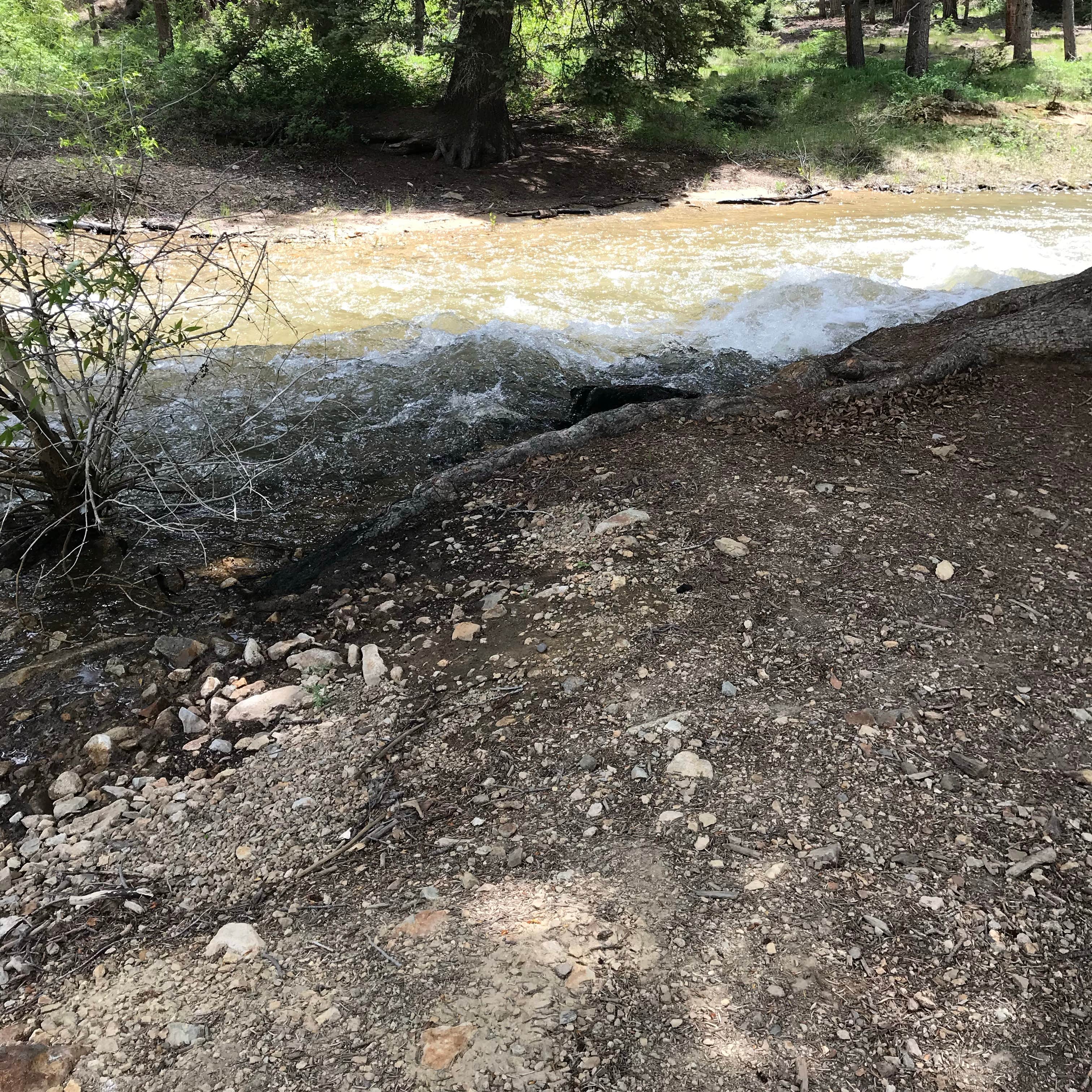 Junebug Campground | Red River, New Mexico