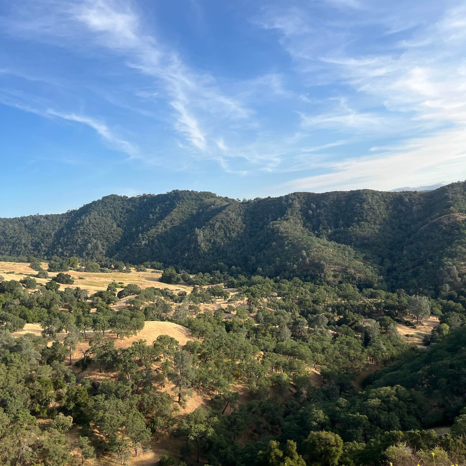 Juniper Campground — Mount Diablo State Park | Diablo, California