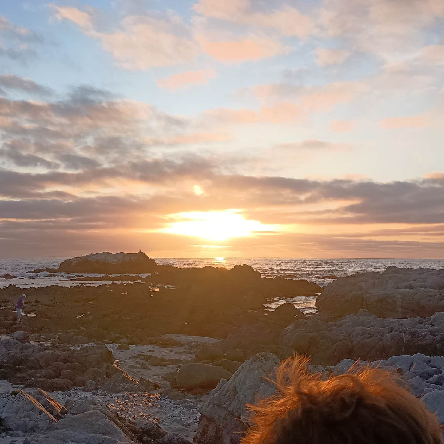 Juniper Campground — Mount Diablo State Park | Diablo, California