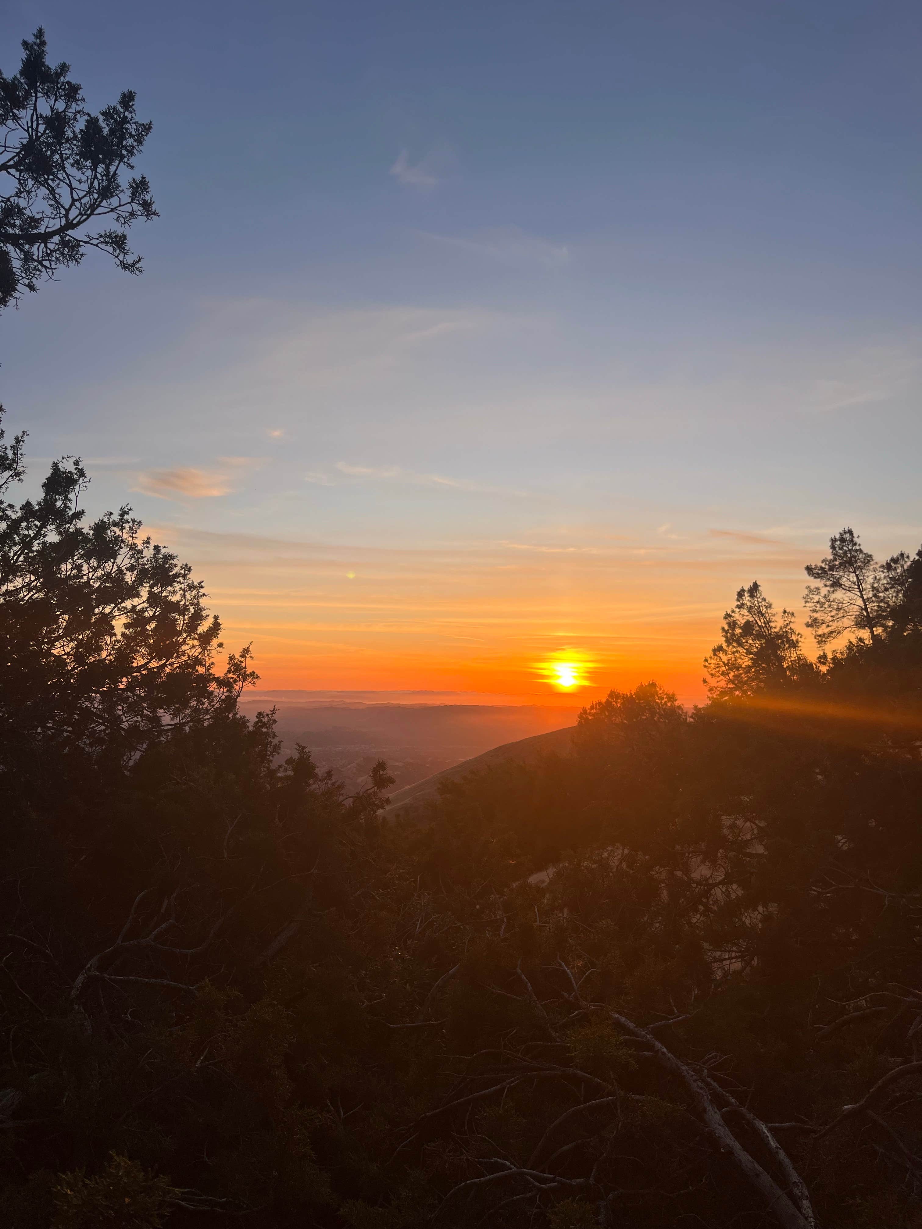 Juniper Campground — Mount Diablo State Park | Diablo, California