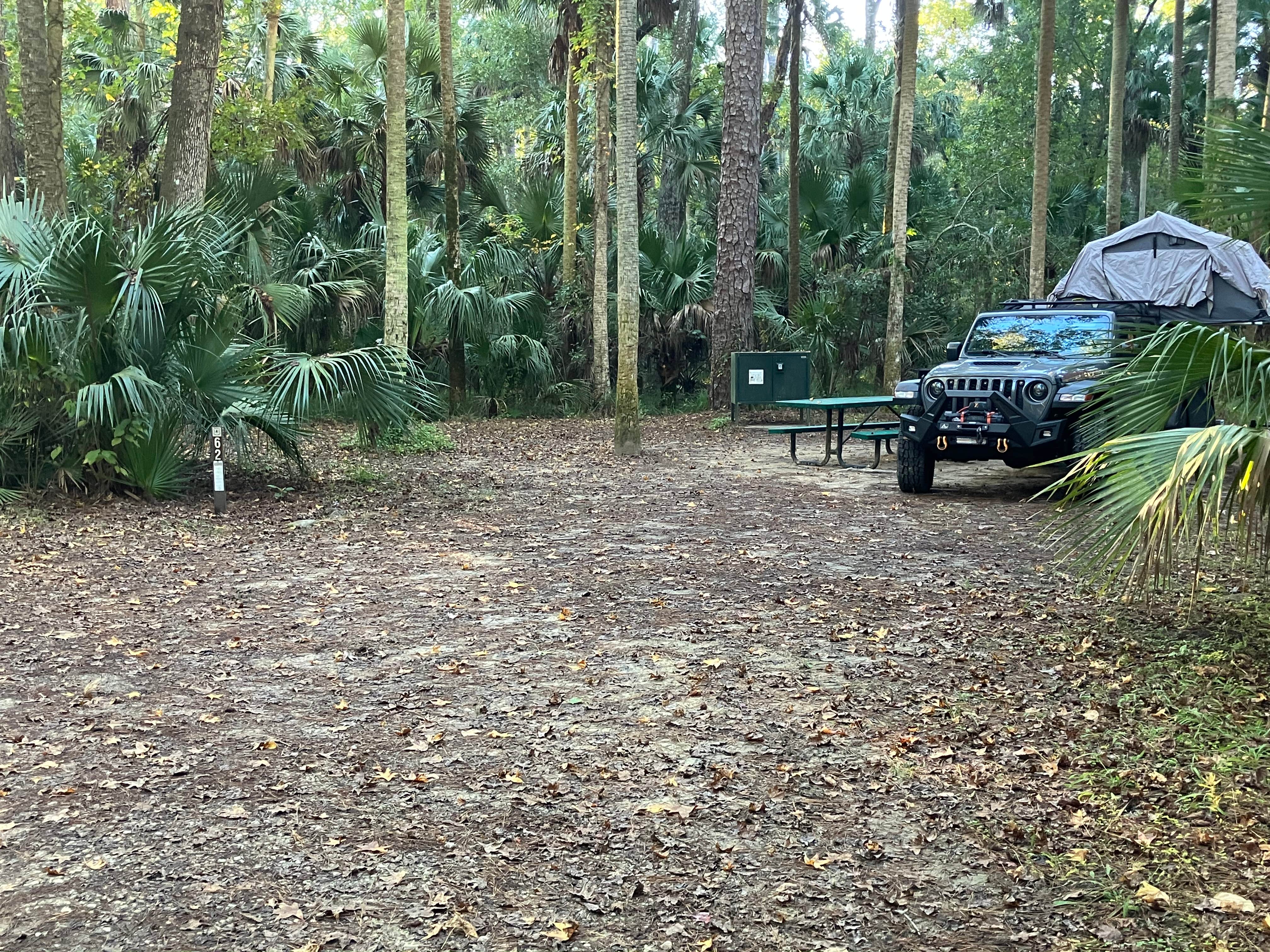 Juniper Springs Rec Area - Tropical Camp Area Camping | Salt Springs ...