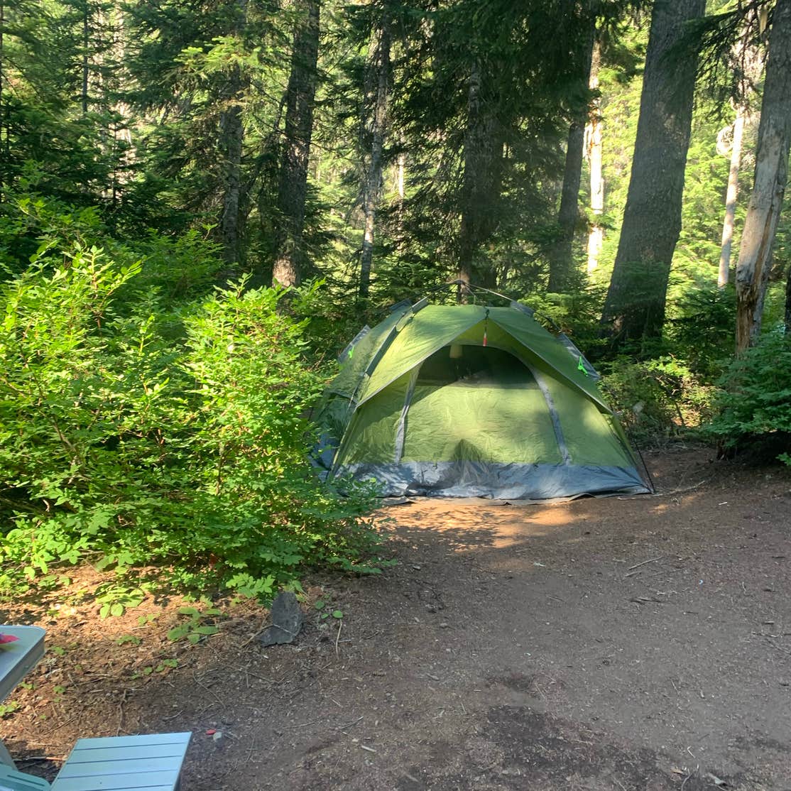 Kachess Lake Logging Road Campsites | Snoqualmie Pass, WA
