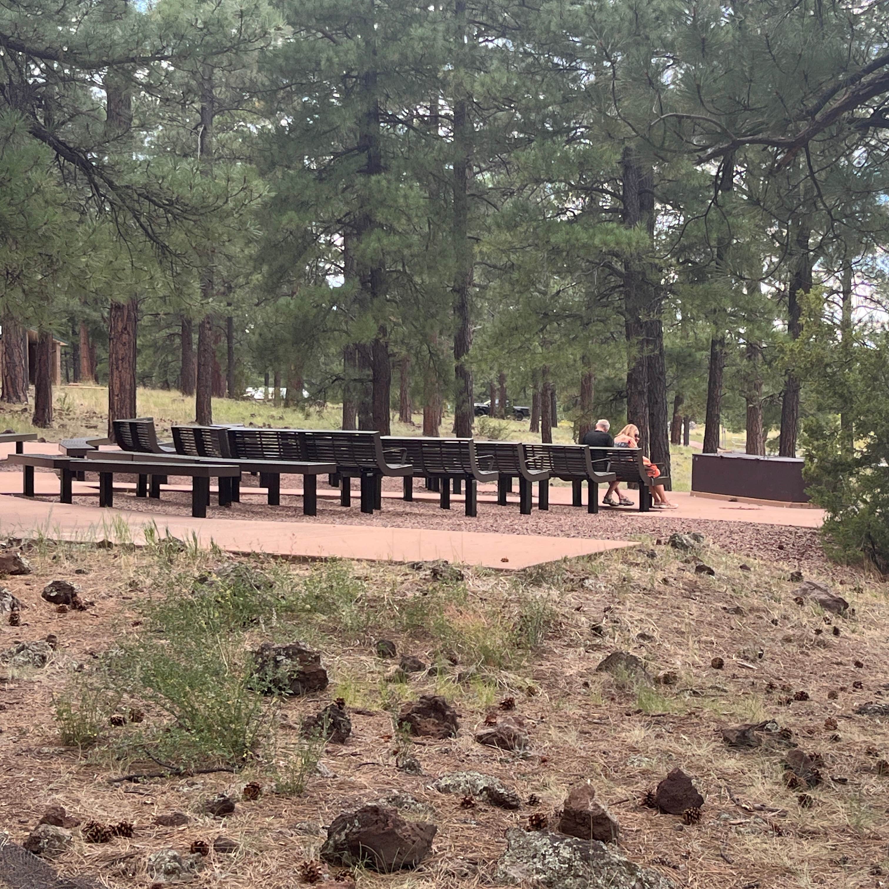 Kaibab National Forest Kaibab Lake Campground | Williams, Arizona