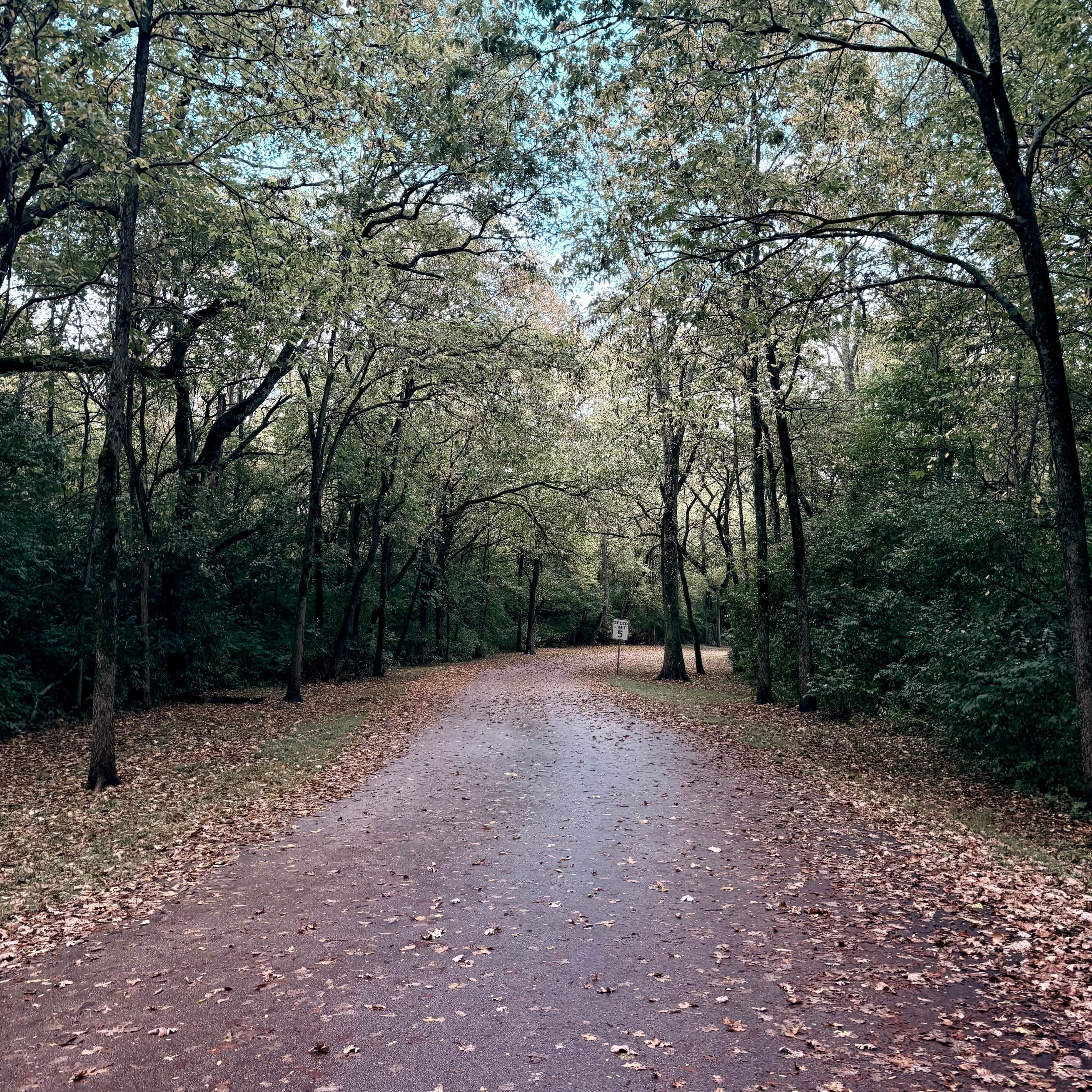 Potowatomi Campground — Kankakee River State Park | Bourbonnais, Illinois