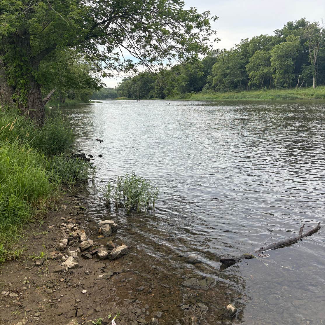 Potowatomi Campground — Kankakee River State Park | Bourbonnais, Illinois