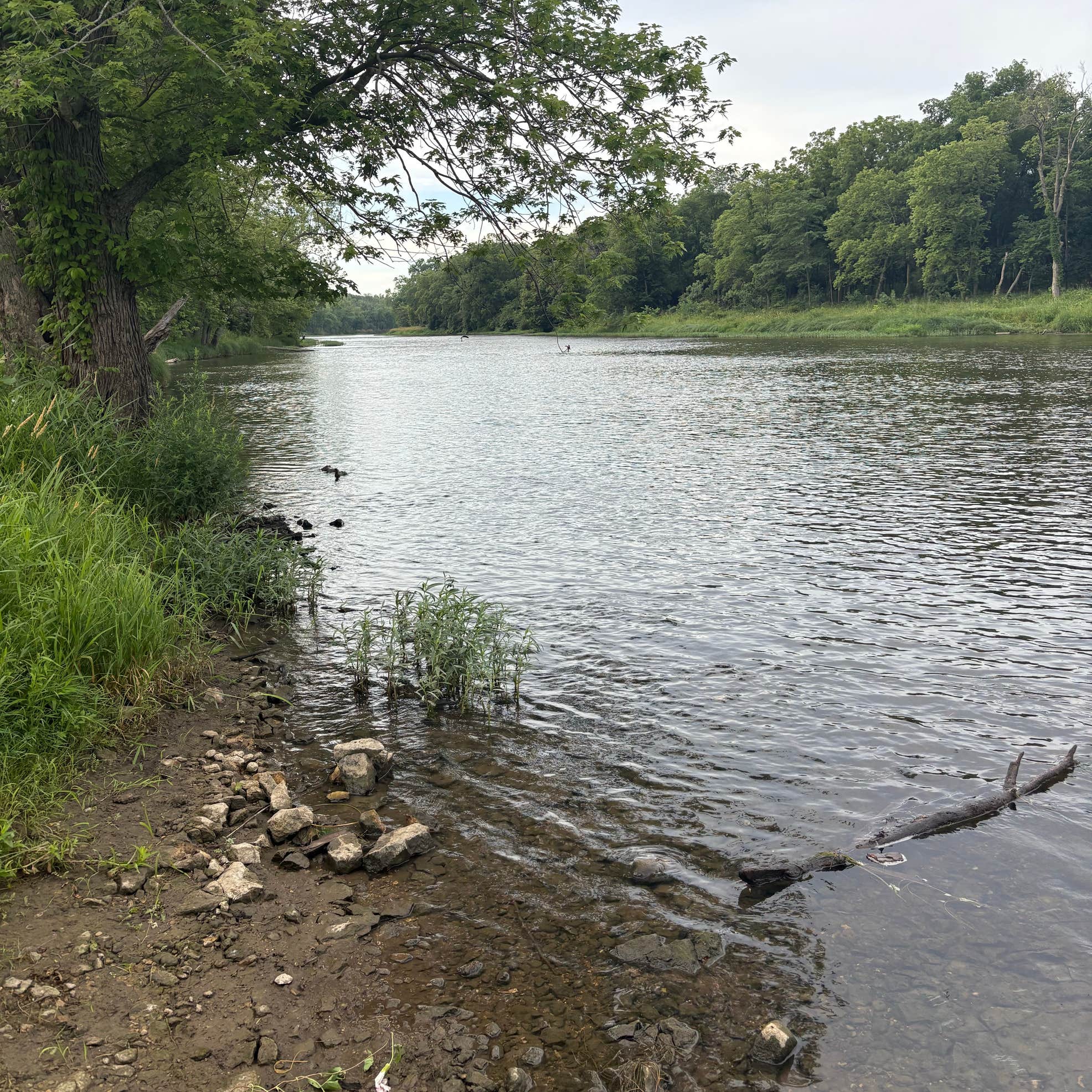 Potowatomi Campground — Kankakee River State Park | Bourbonnais, Illinois