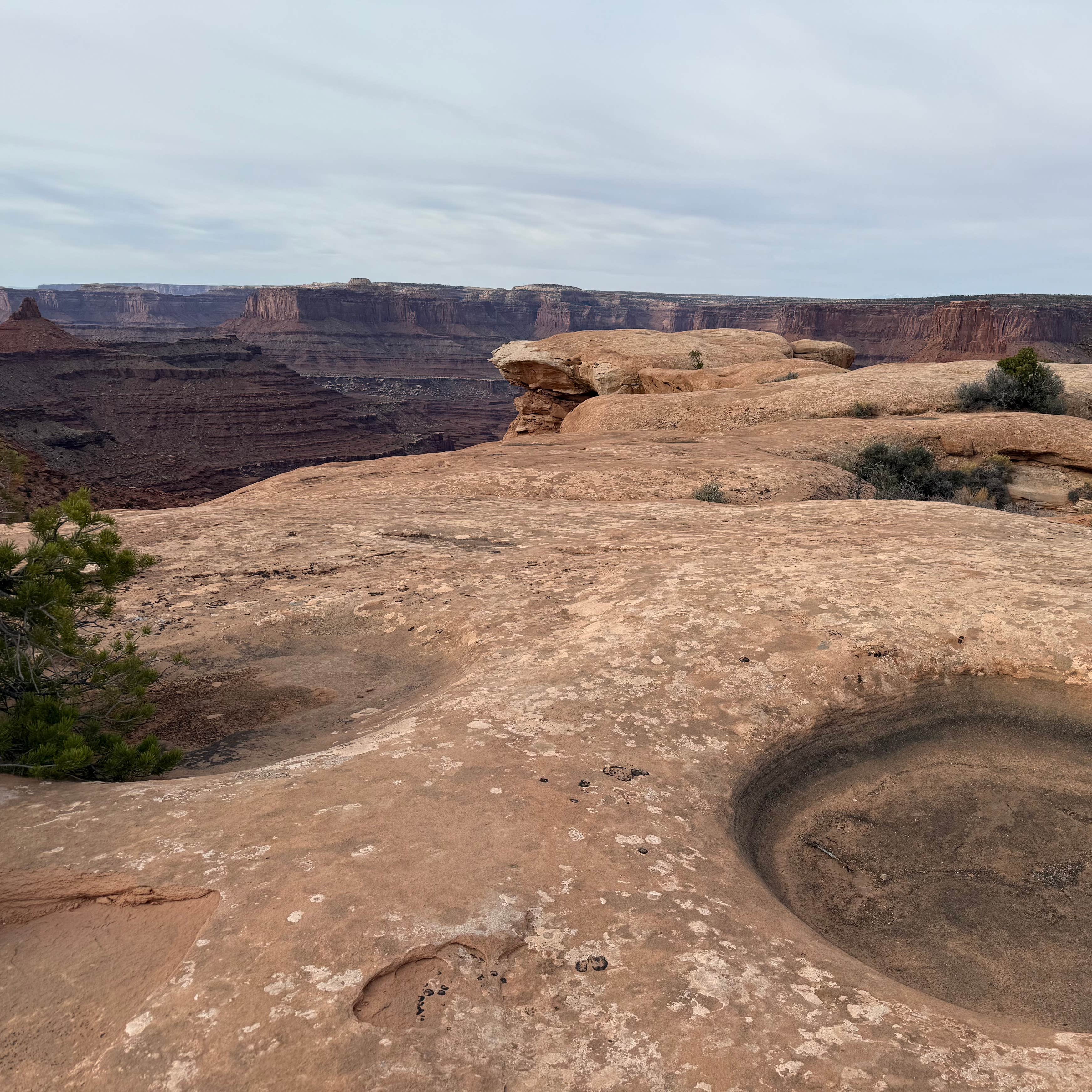 Kayenta Campground — Dead Horse Point State Park | Moab, Utah