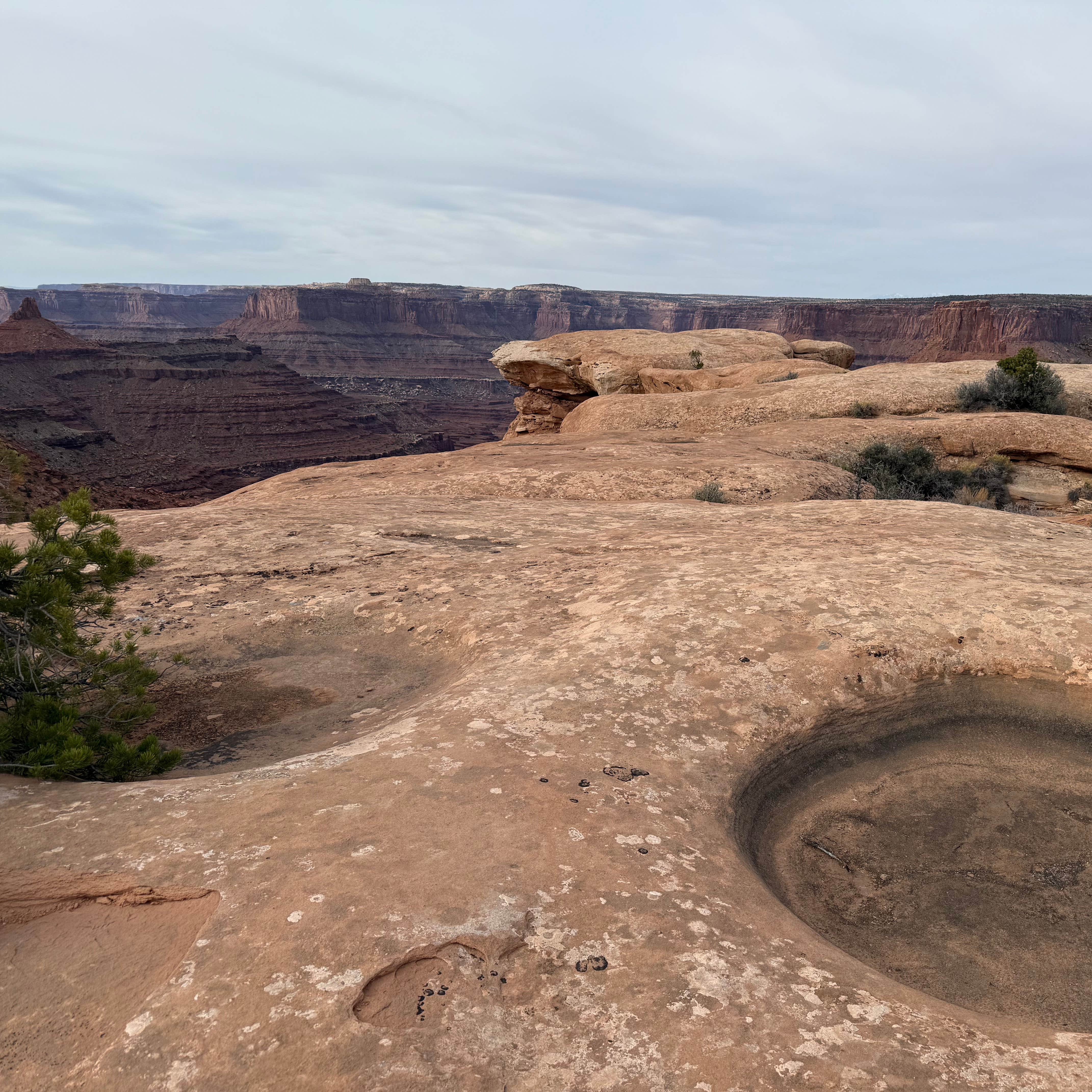 Kayenta Campground — Dead Horse Point State Park | Moab, Utah