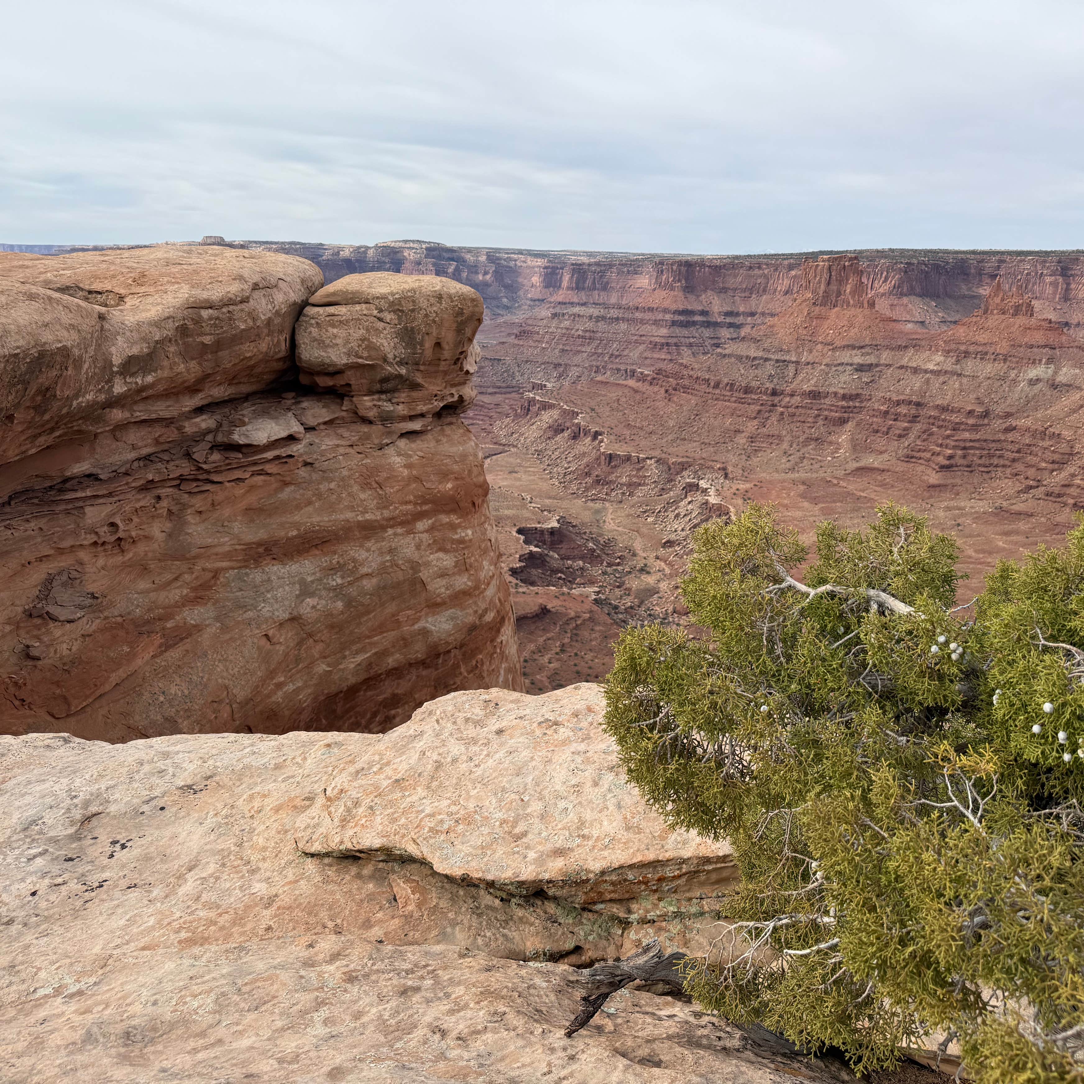 Kayenta Campground — Dead Horse Point State Park | Moab, Utah