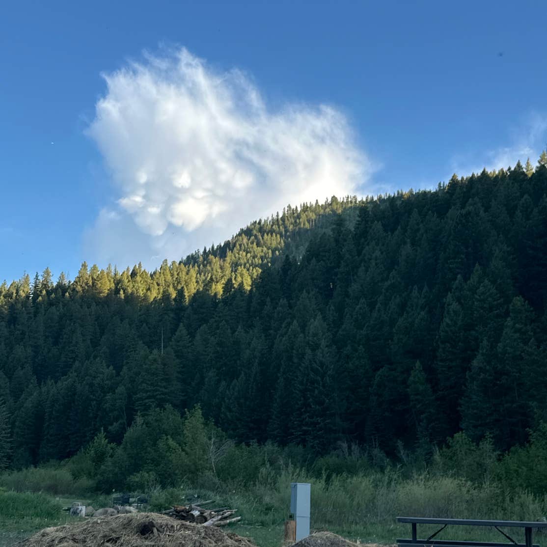 Kebler Corner Camping | Somerset, Colorado