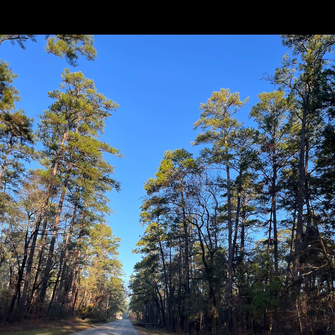 Kelly's Pond Campground | Montgomery, Texas