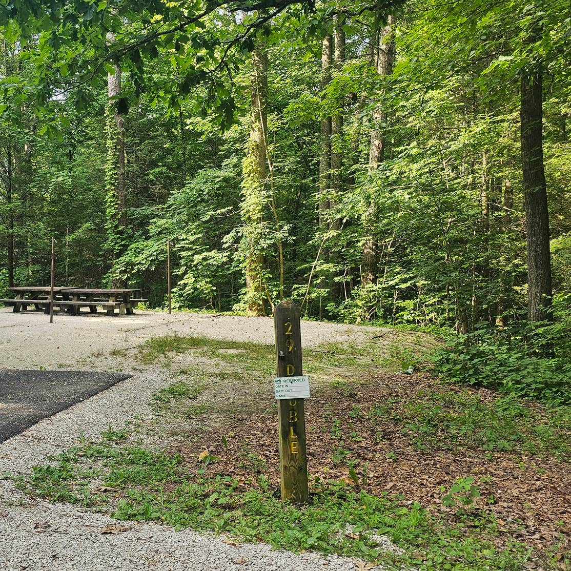 Koomer Ridge Campground — Daniel Boone National Forest | Pine Ridge, KY