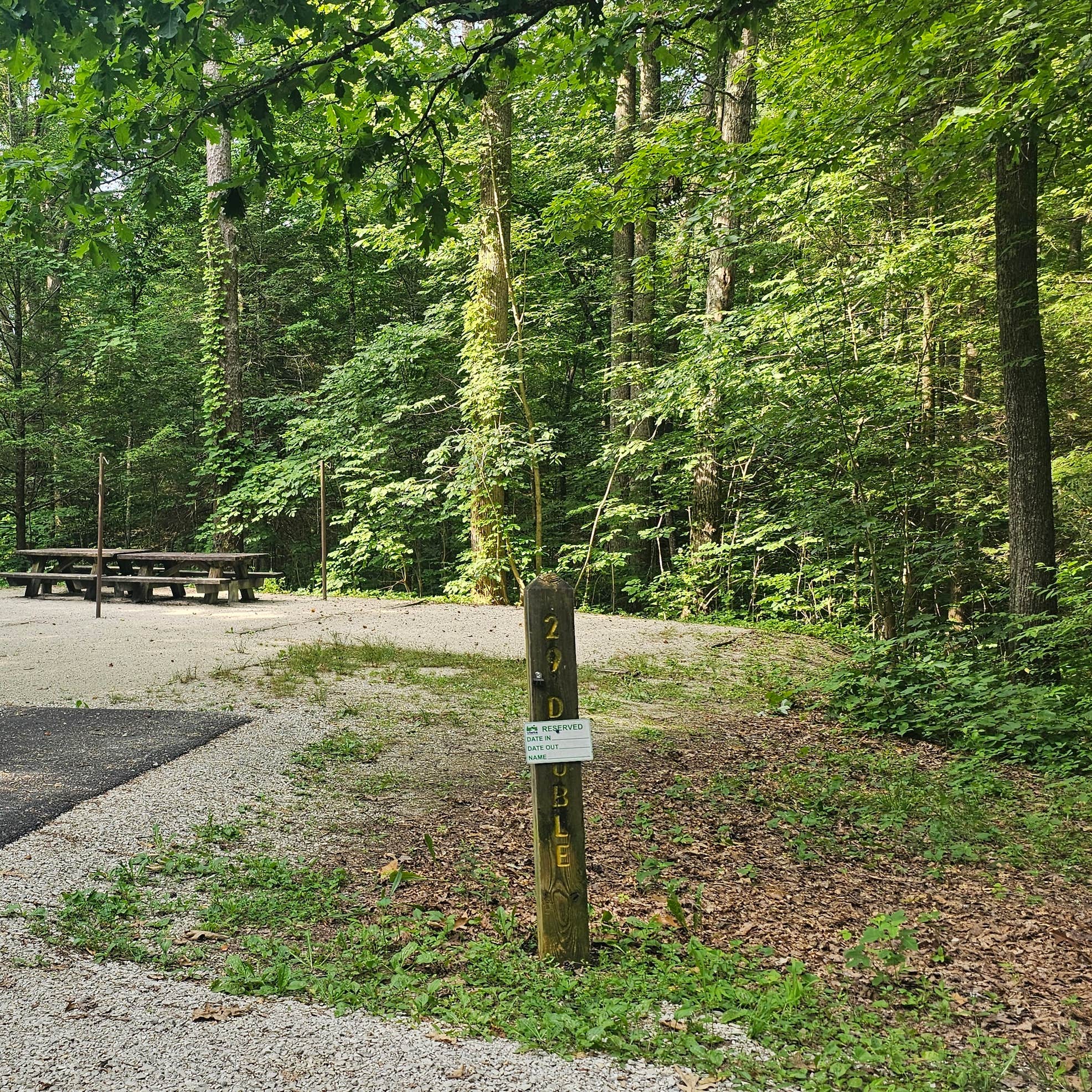 Koomer Ridge Campground — Daniel Boone National Forest | Pine Ridge ...