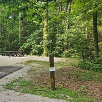 Koomer Ridge Campground — Daniel Boone National Forest | Pine Ridge ...